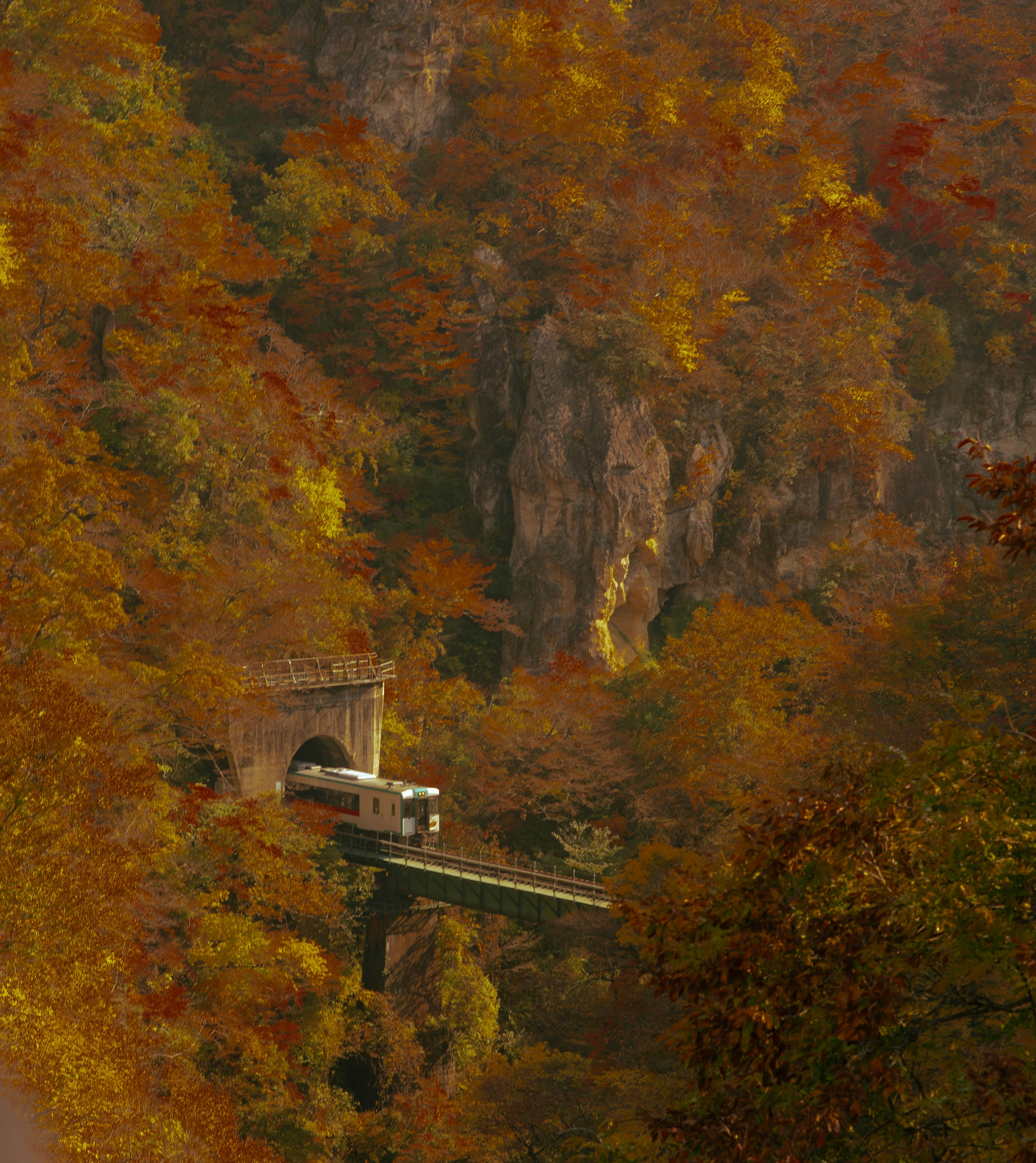 Train emerging from tunnel surrounded by autumn foliage