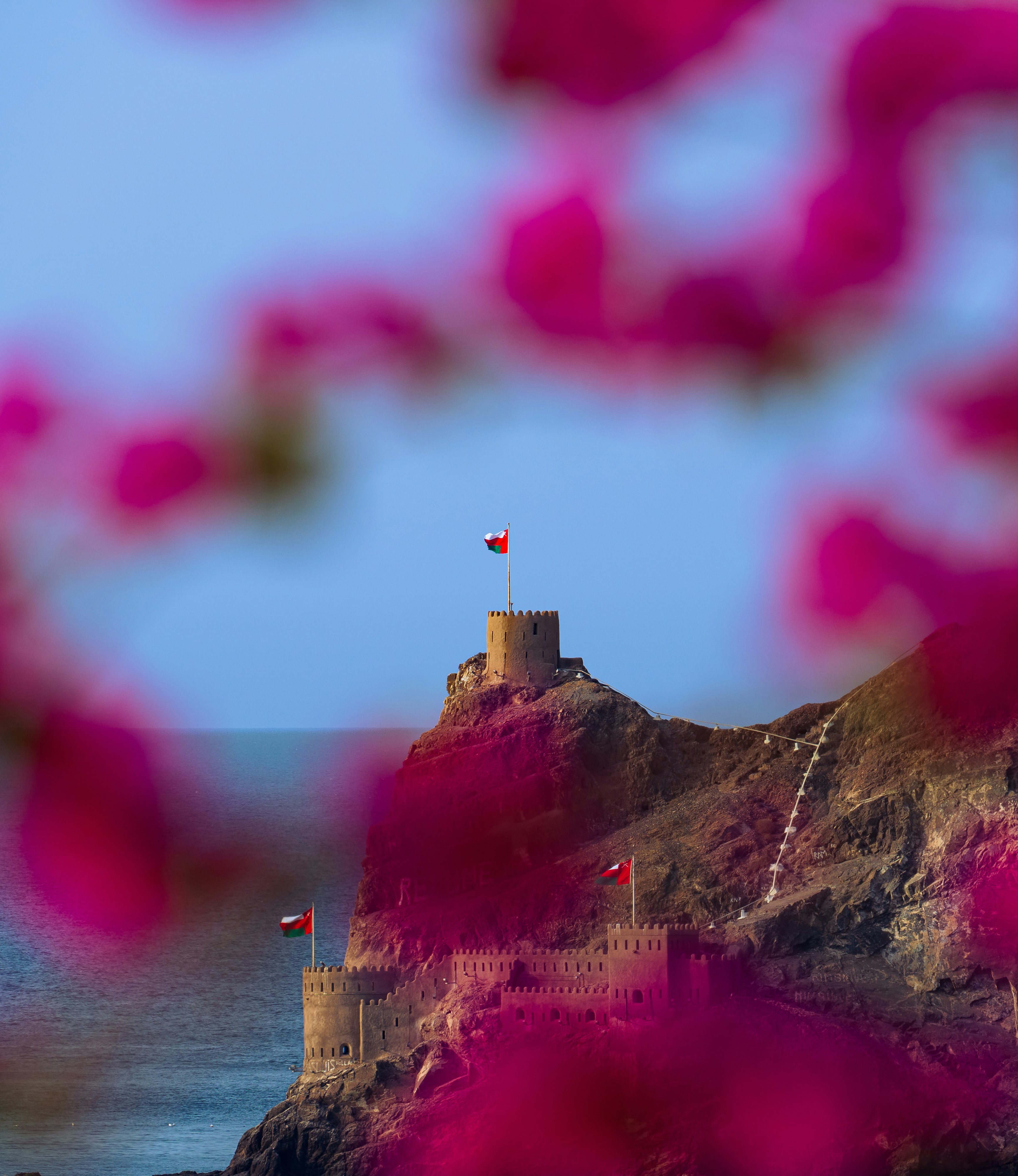 Flagged Sea Fortress Under Azure Sky Framed by Magenta Blossoms