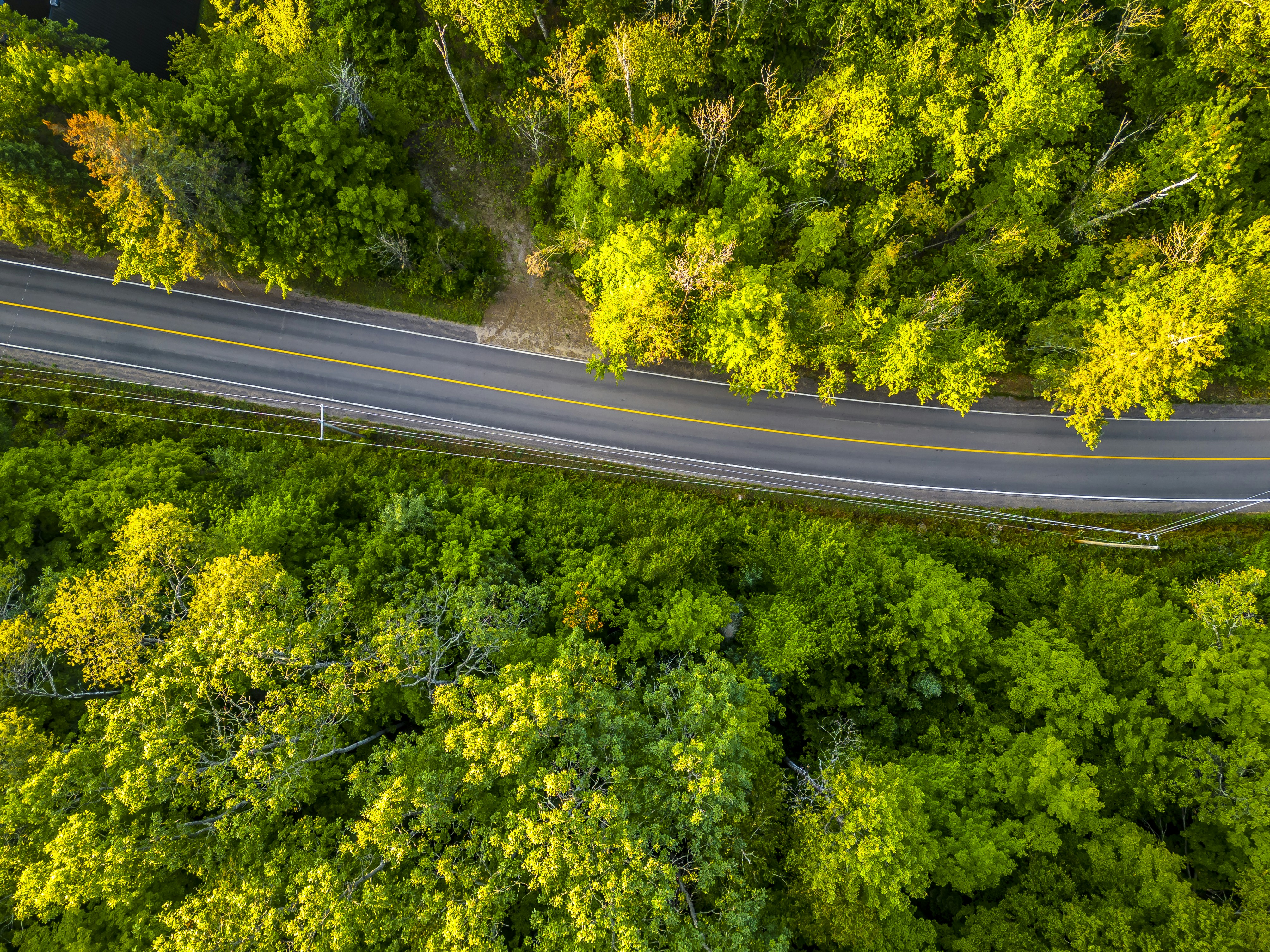 Aerial view of a winding road bordered by lush greenery, showcasing the vibrant hues of trees in late spring. The scene highlights the harmony between nature and infrastructure.