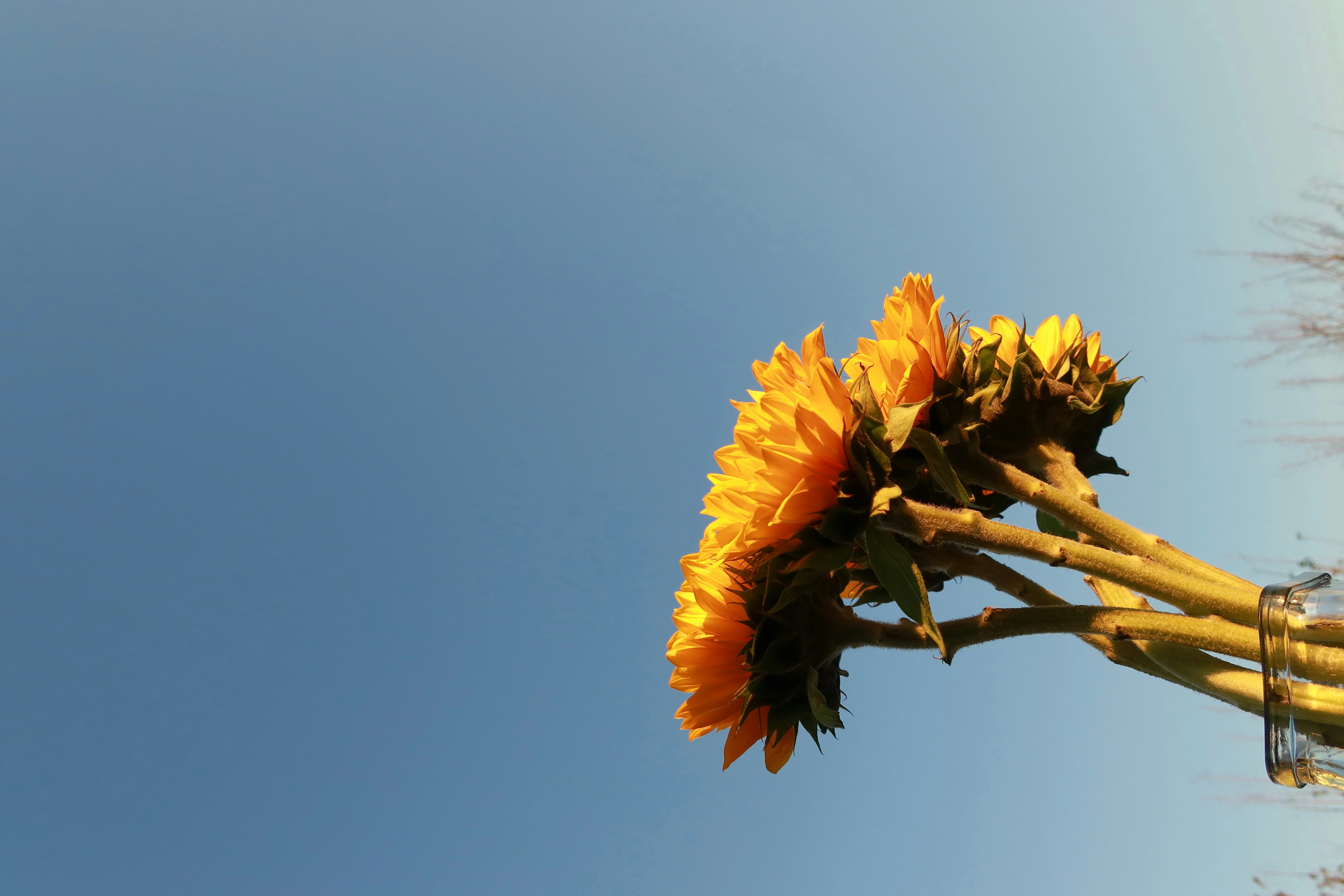 Enar Ogar (@ehnarie) | Unsplash Photo Community