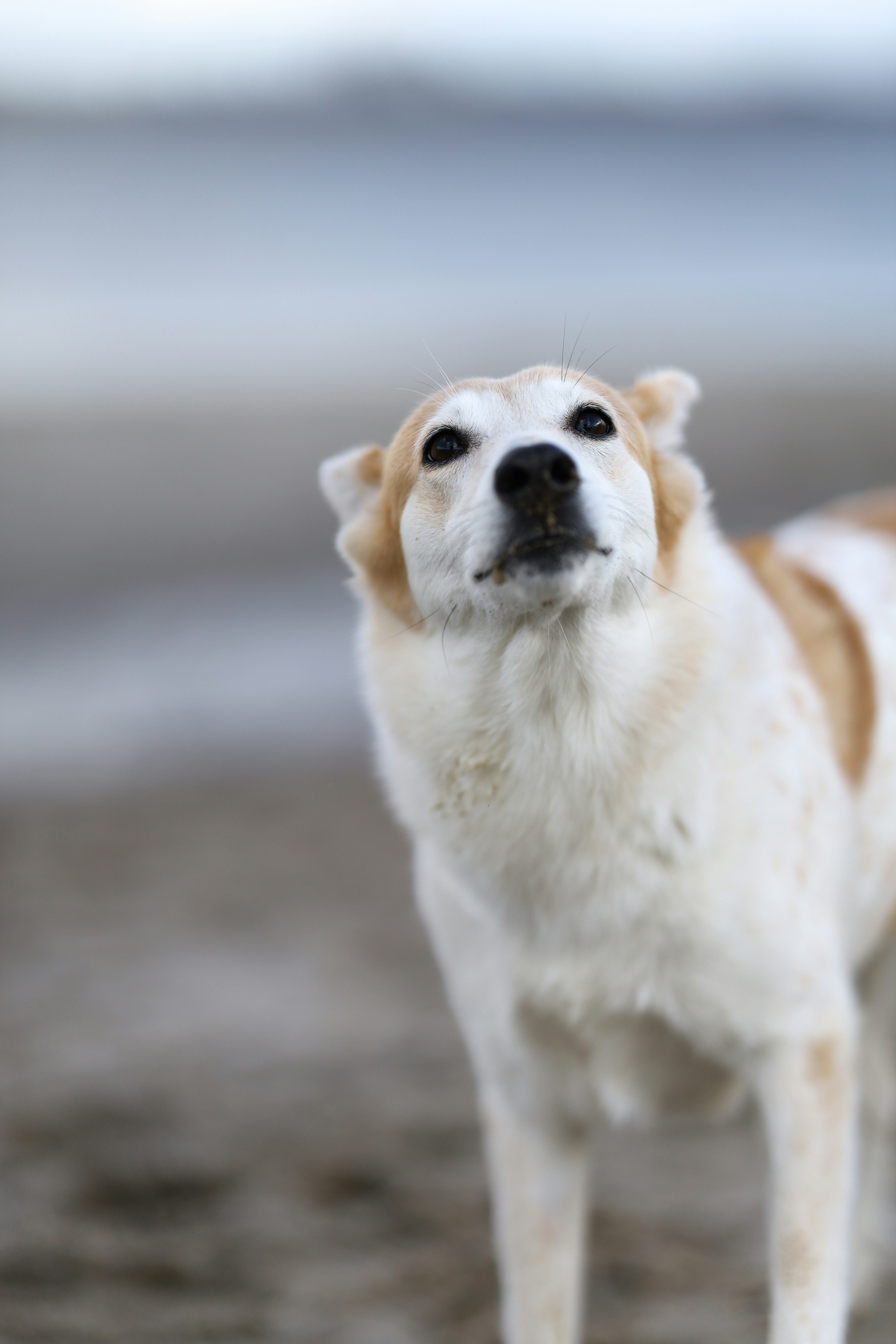 Georg Rosenthal (@georgrosenthal) | Komunitas Foto Unsplash