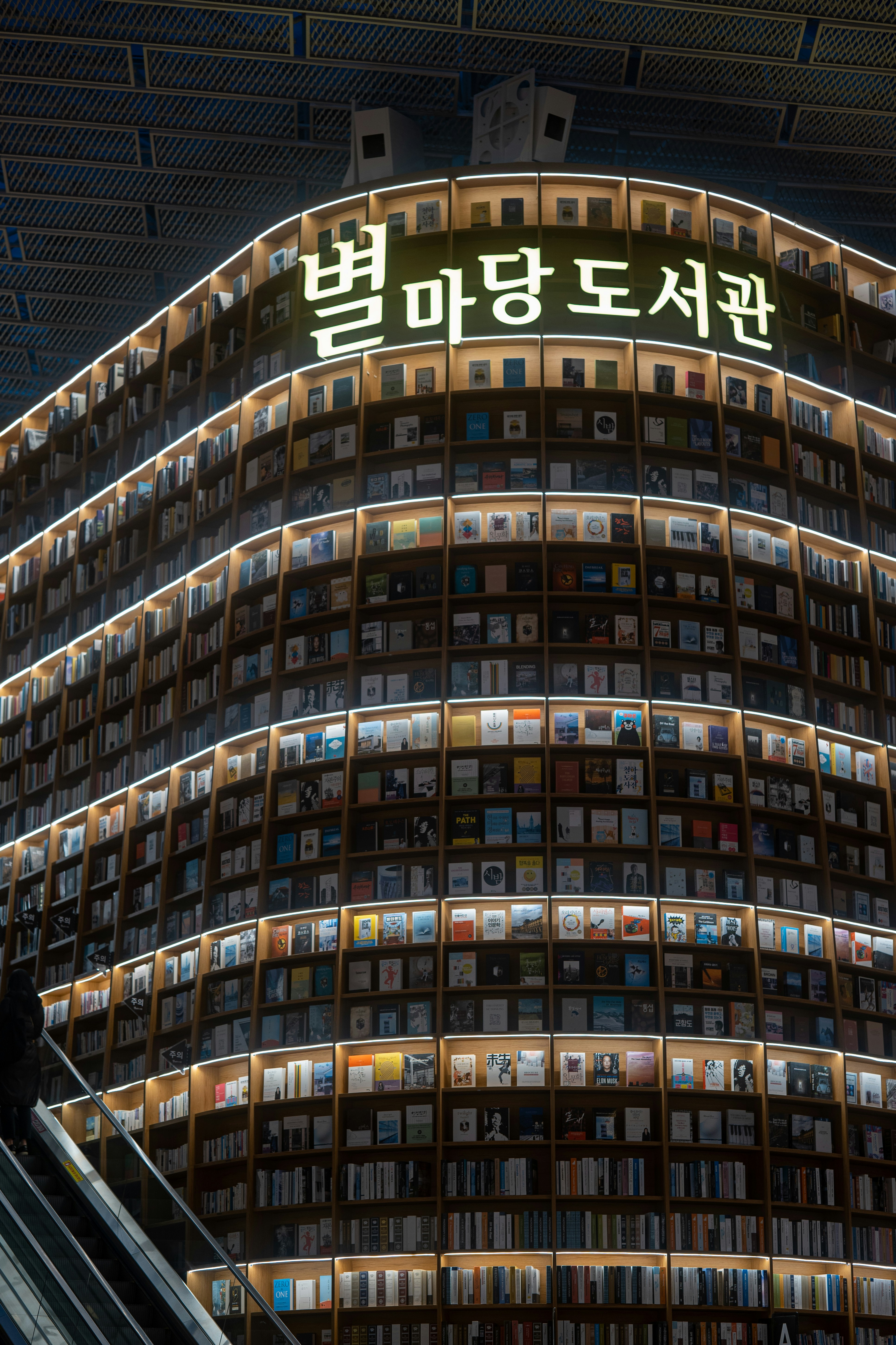 The Literary Spiral: A Modern Bibliophile's Haven