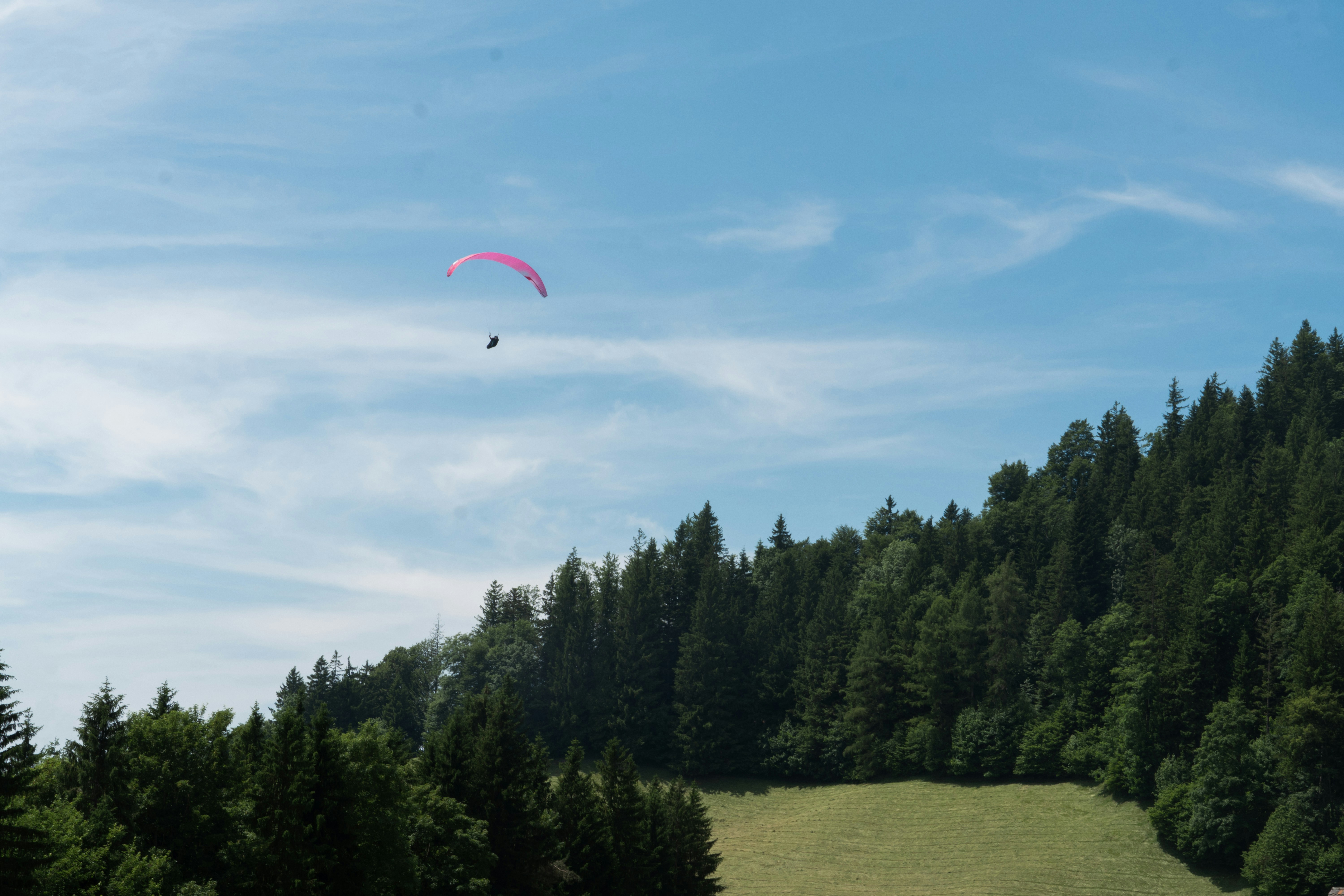 Soaring Serenity: A Glimpse of Freedom