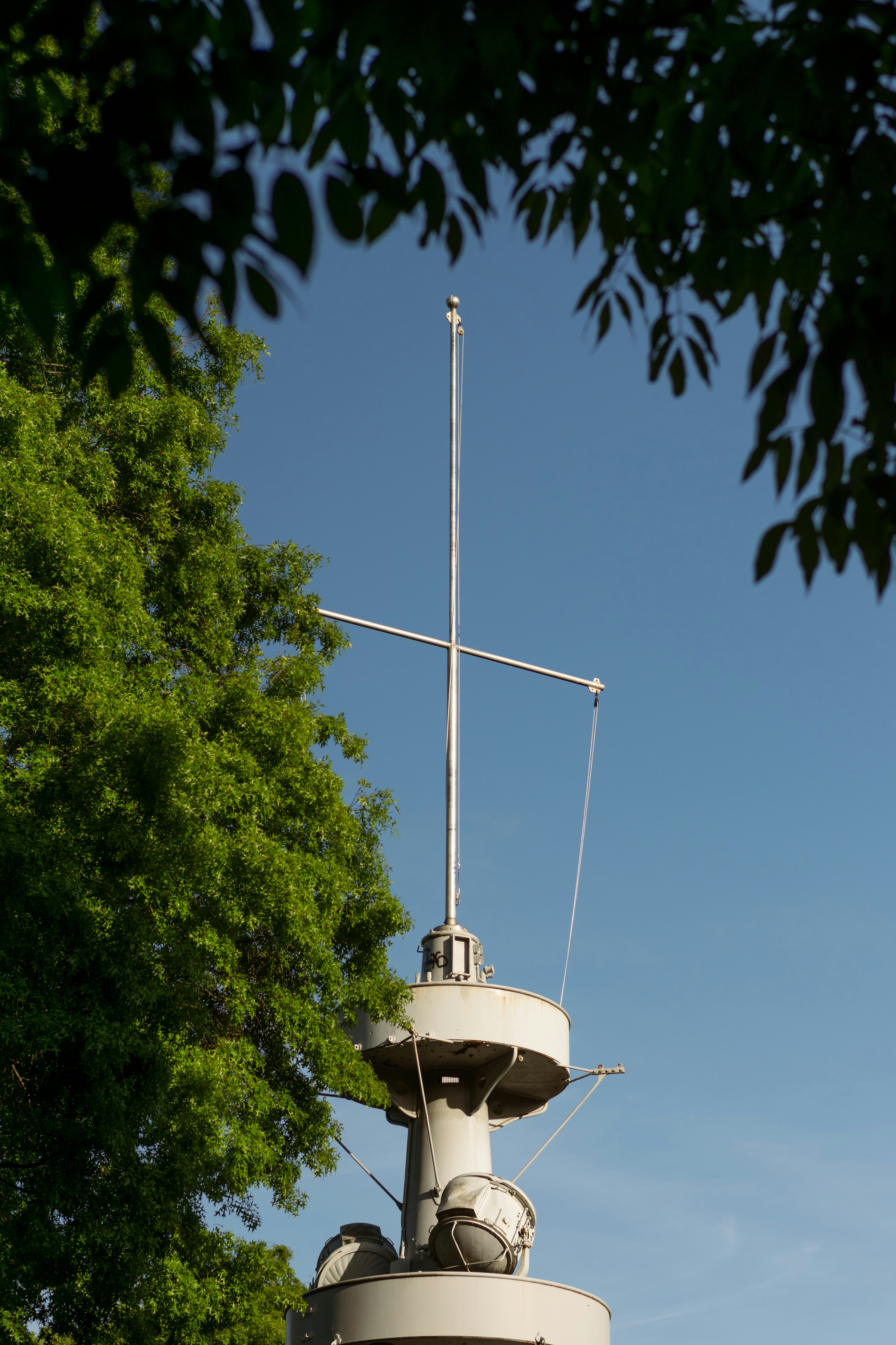 Skyward Signal: The Intersection of Nature and Technology
