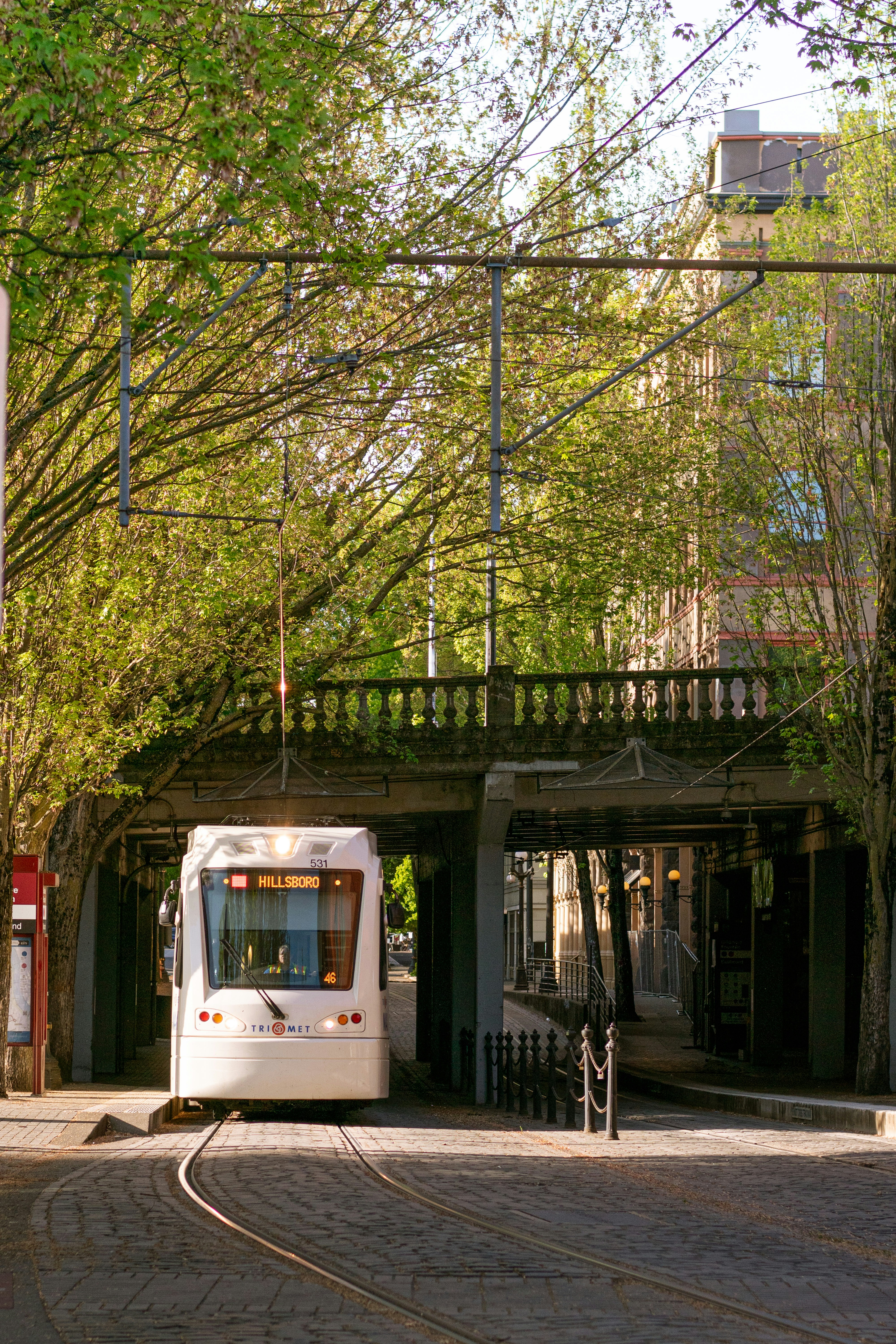 Urban Transit Beneath the Canopy