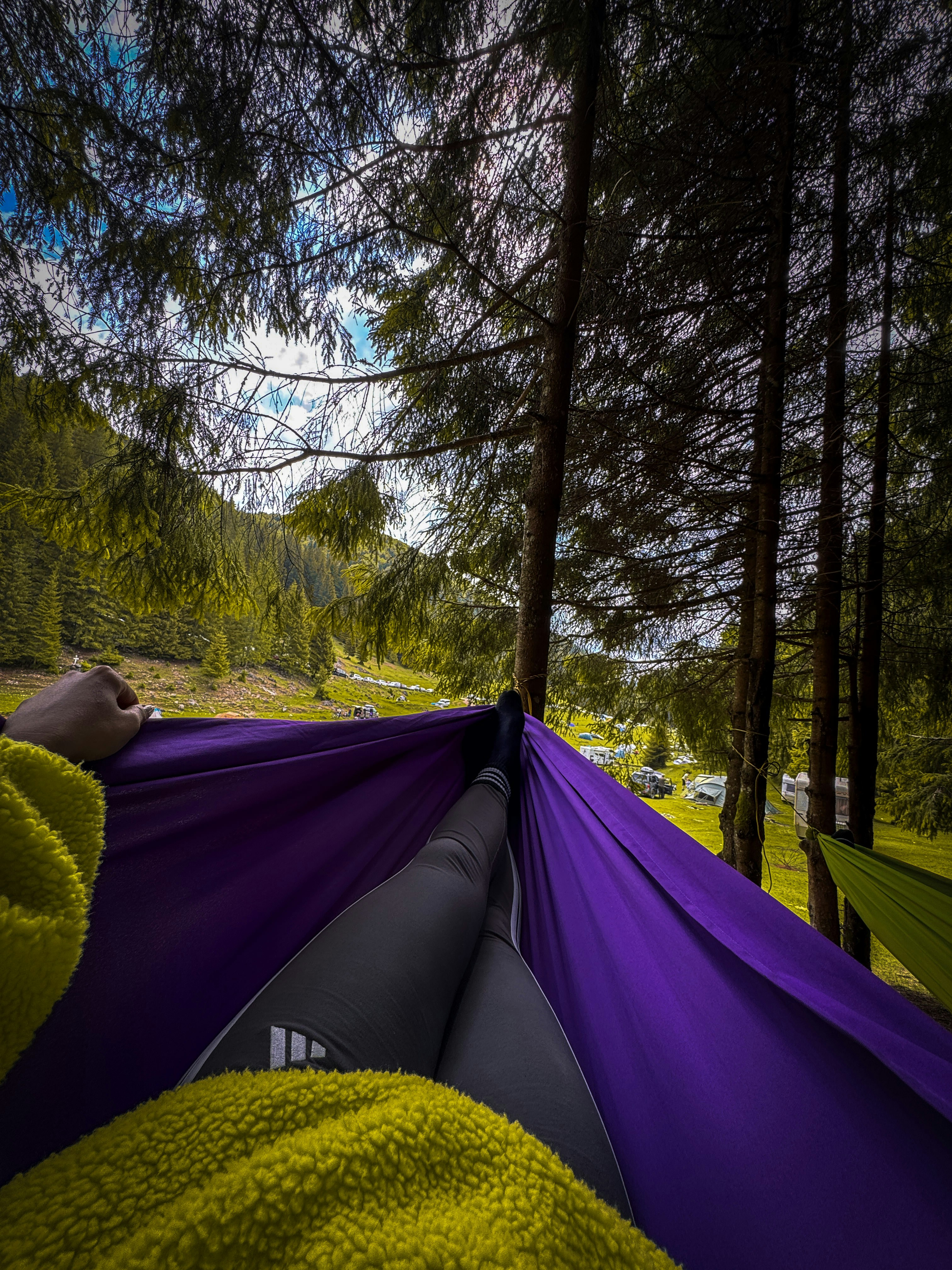 Person relaxing in a purple hammock in a forest.