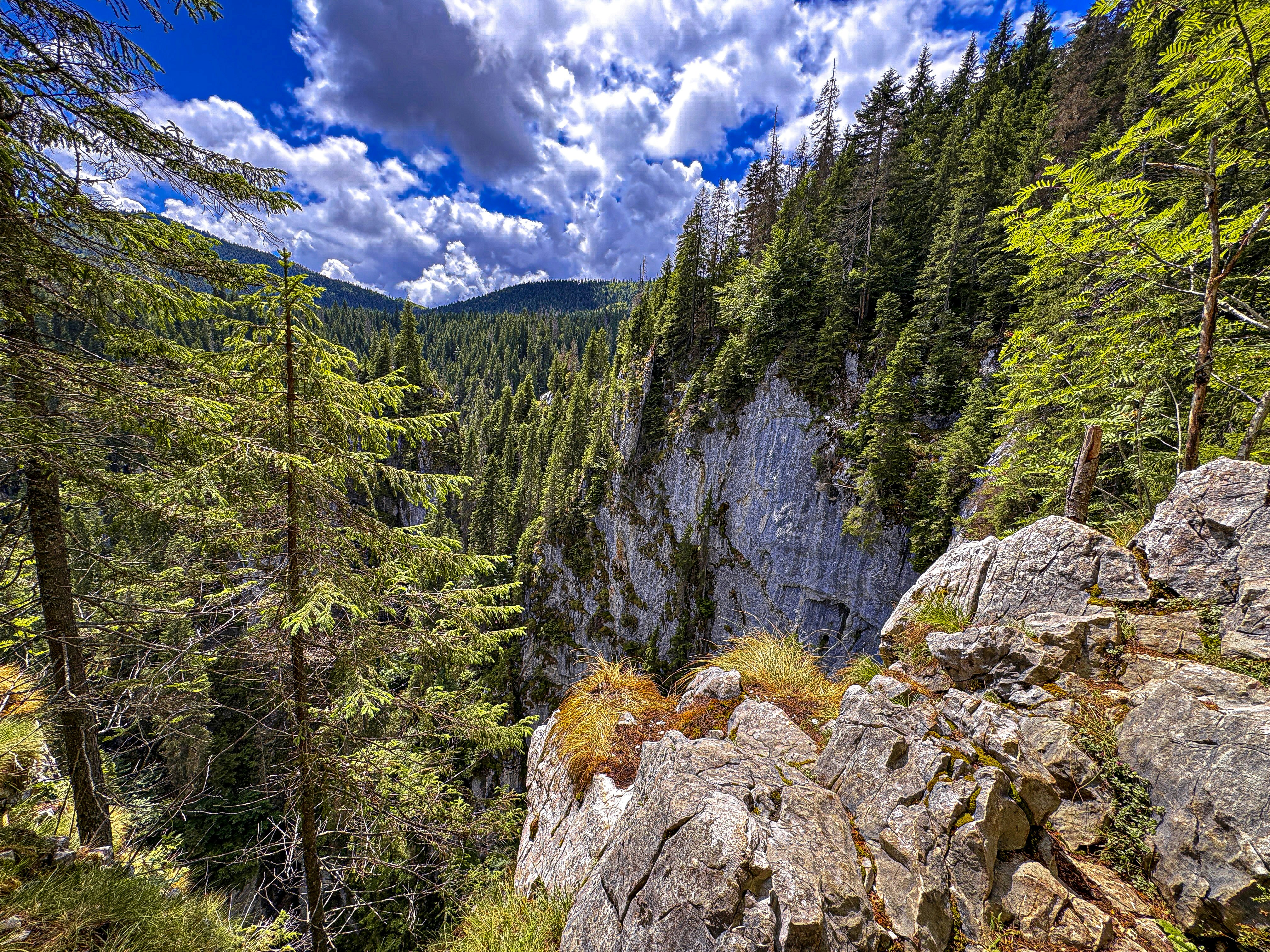 Whispers of the Wild: A Mountain's Embrace