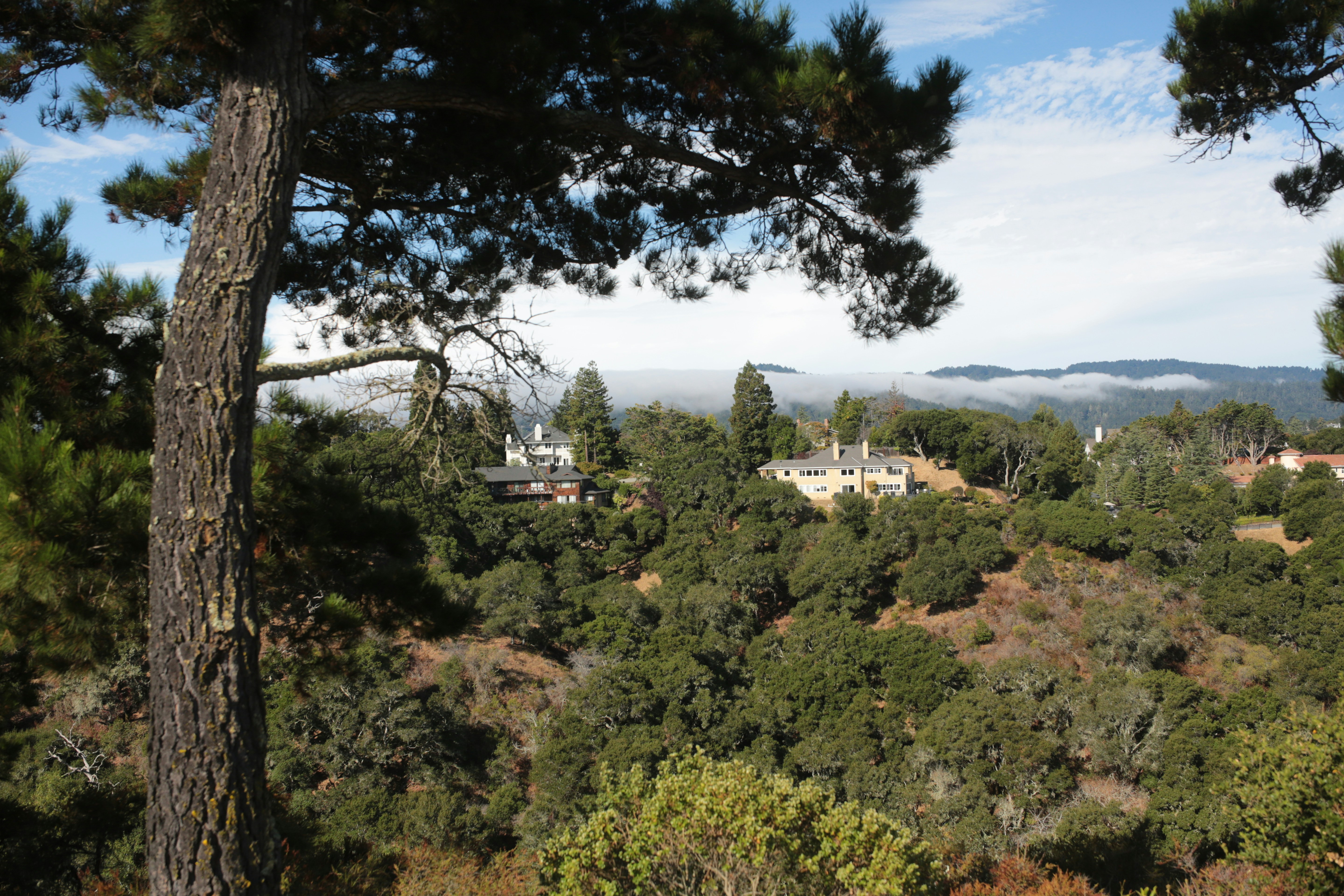 Lush green hillsides frame a charming residence nestled among the trees, with a backdrop of rolling clouds and distant mountains.