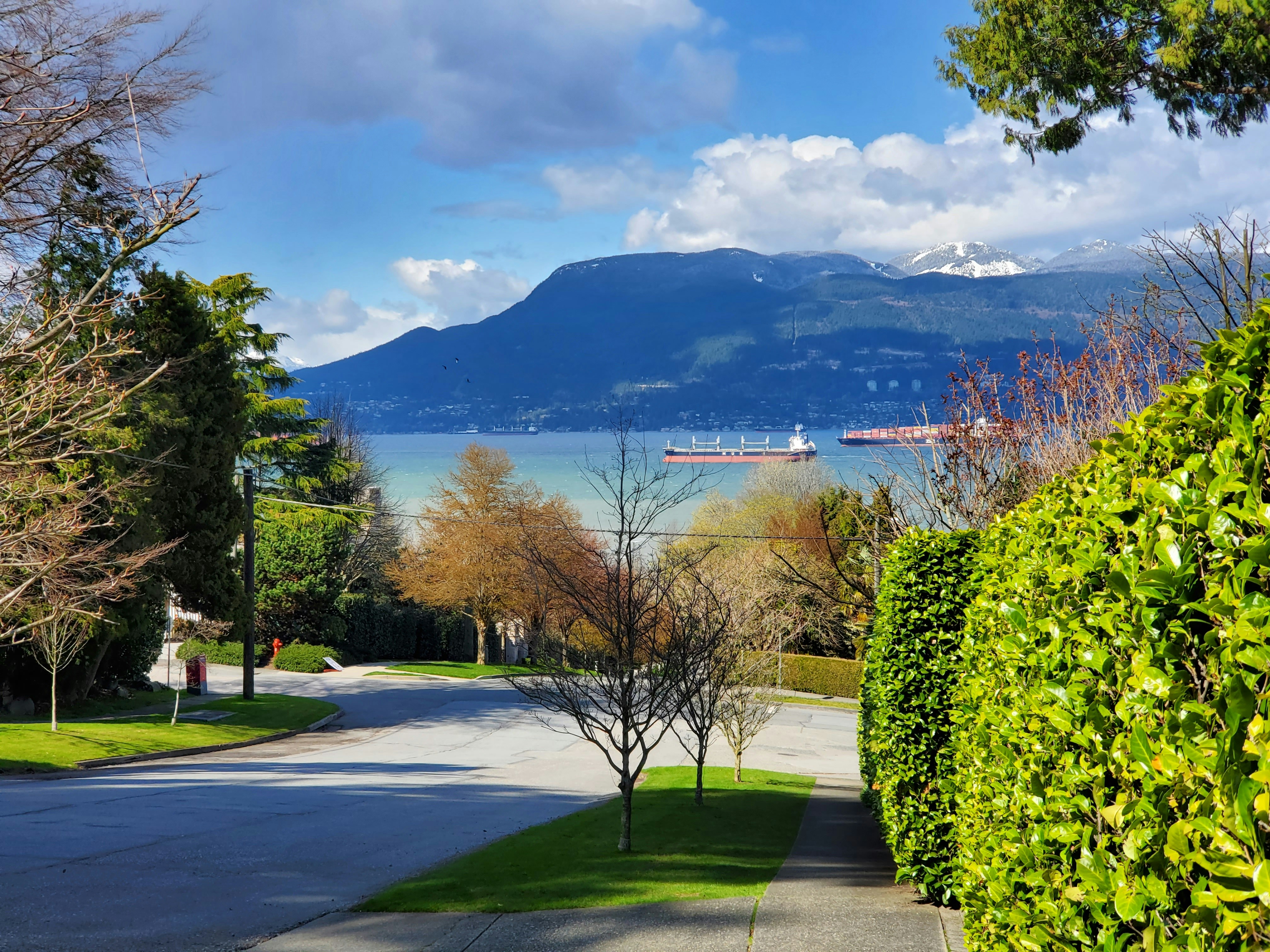 Quiet Lakeside Lane Toward the Emerald Mountains