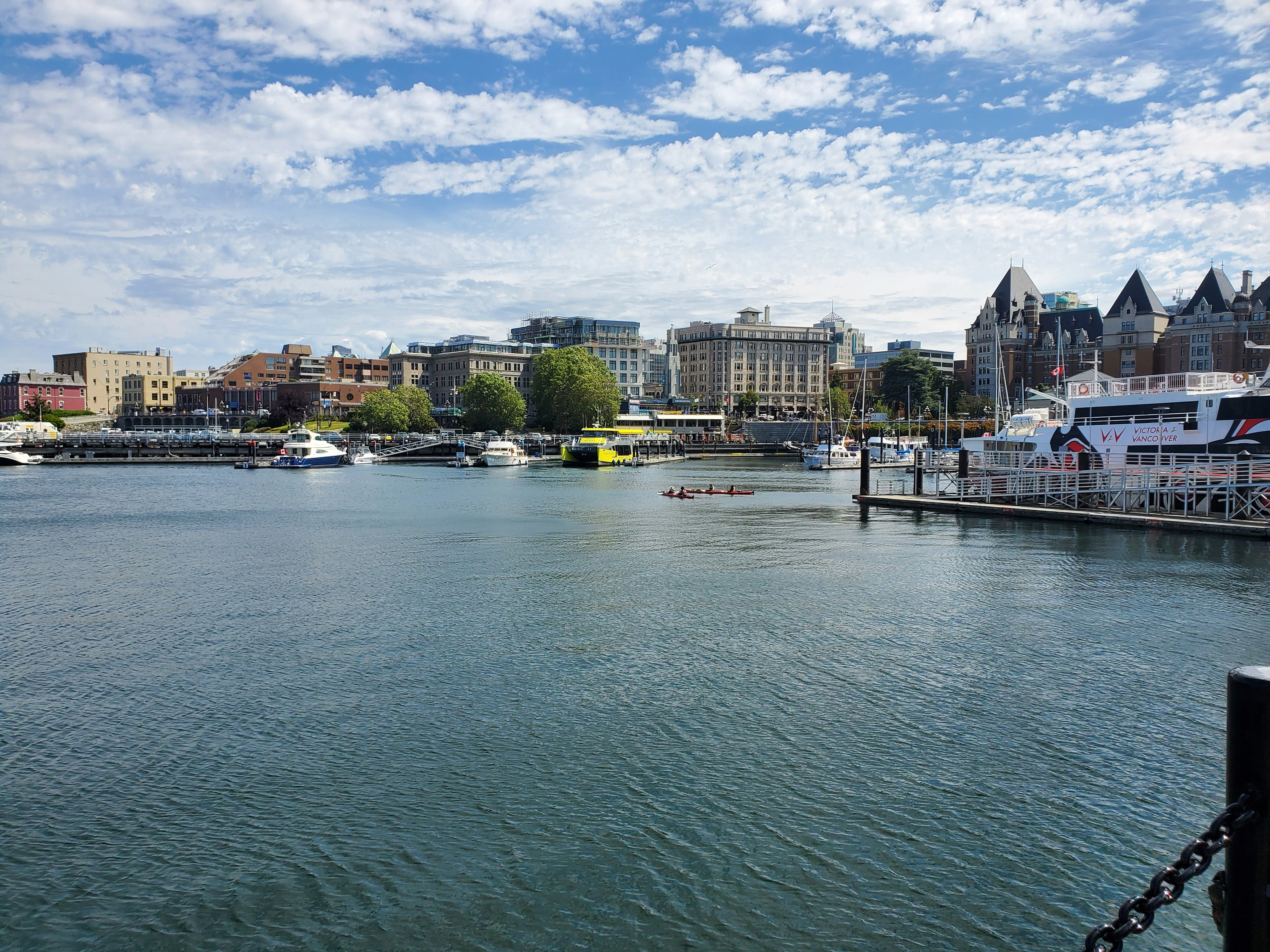 Harbor Harmony: A Day by the Water