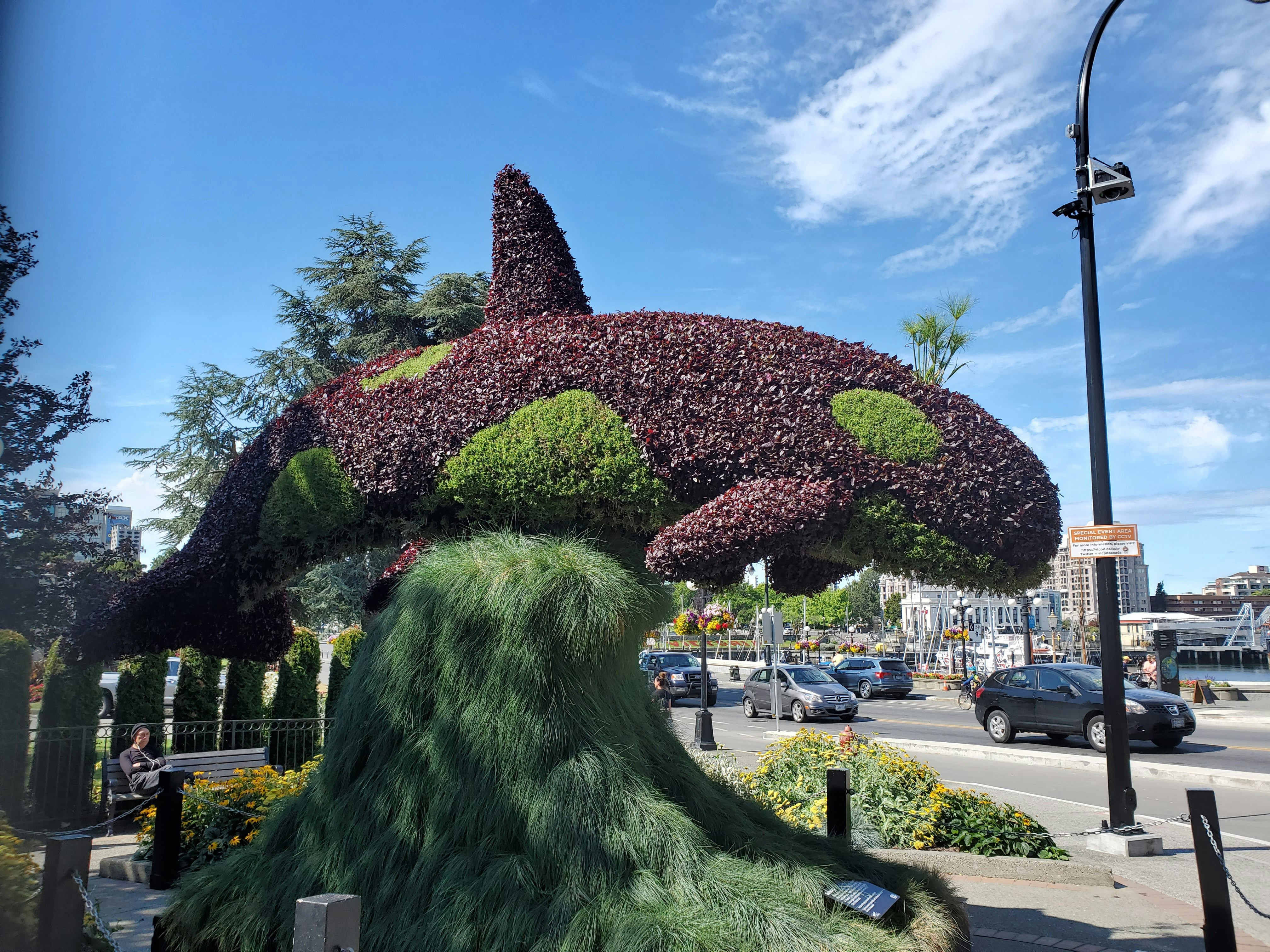 A vibrant topiary sculpture of an orca whale, crafted from colorful foliage, set against a scenic waterfront backdrop.