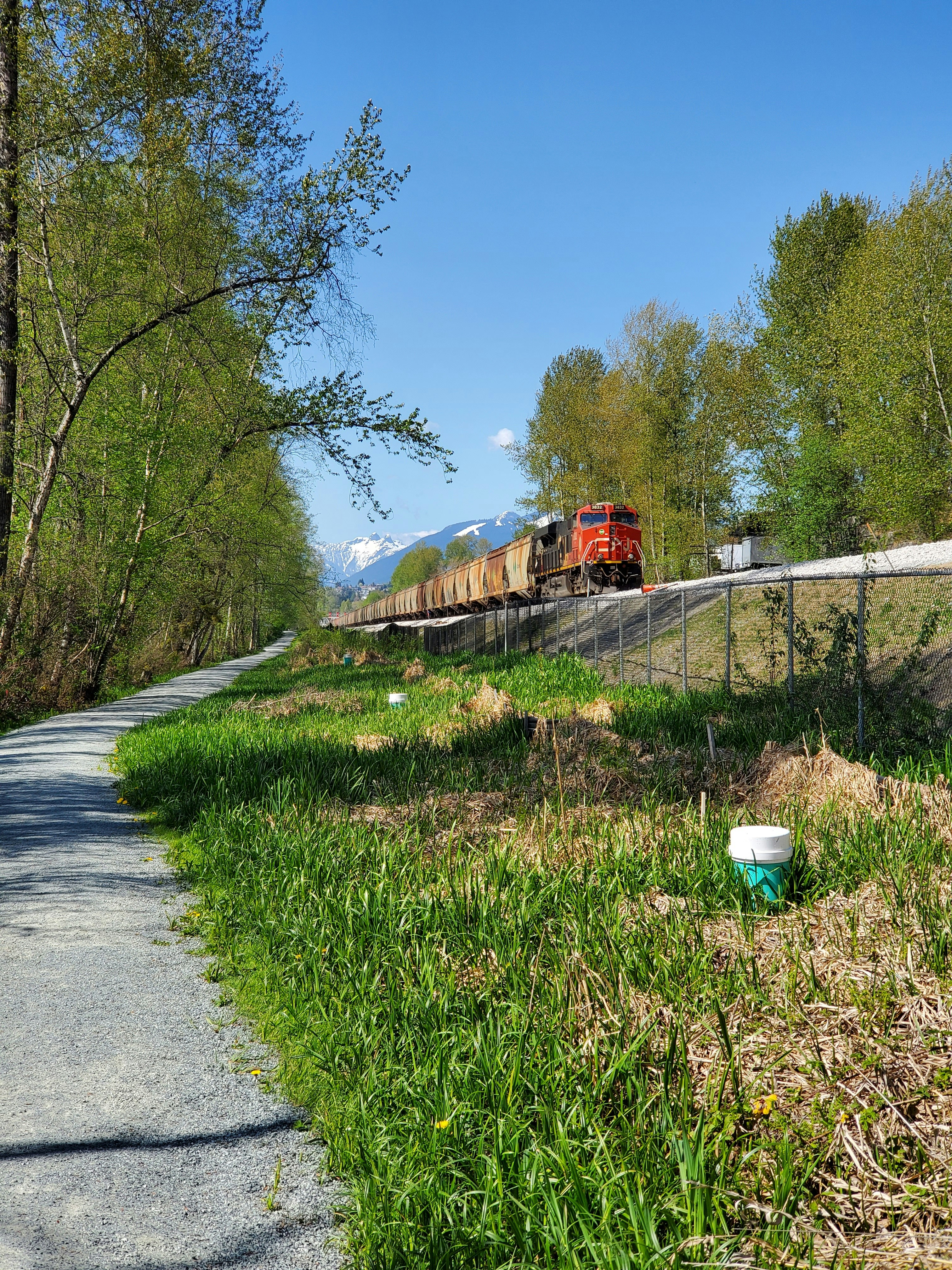 Journey Through Nature's Corridor