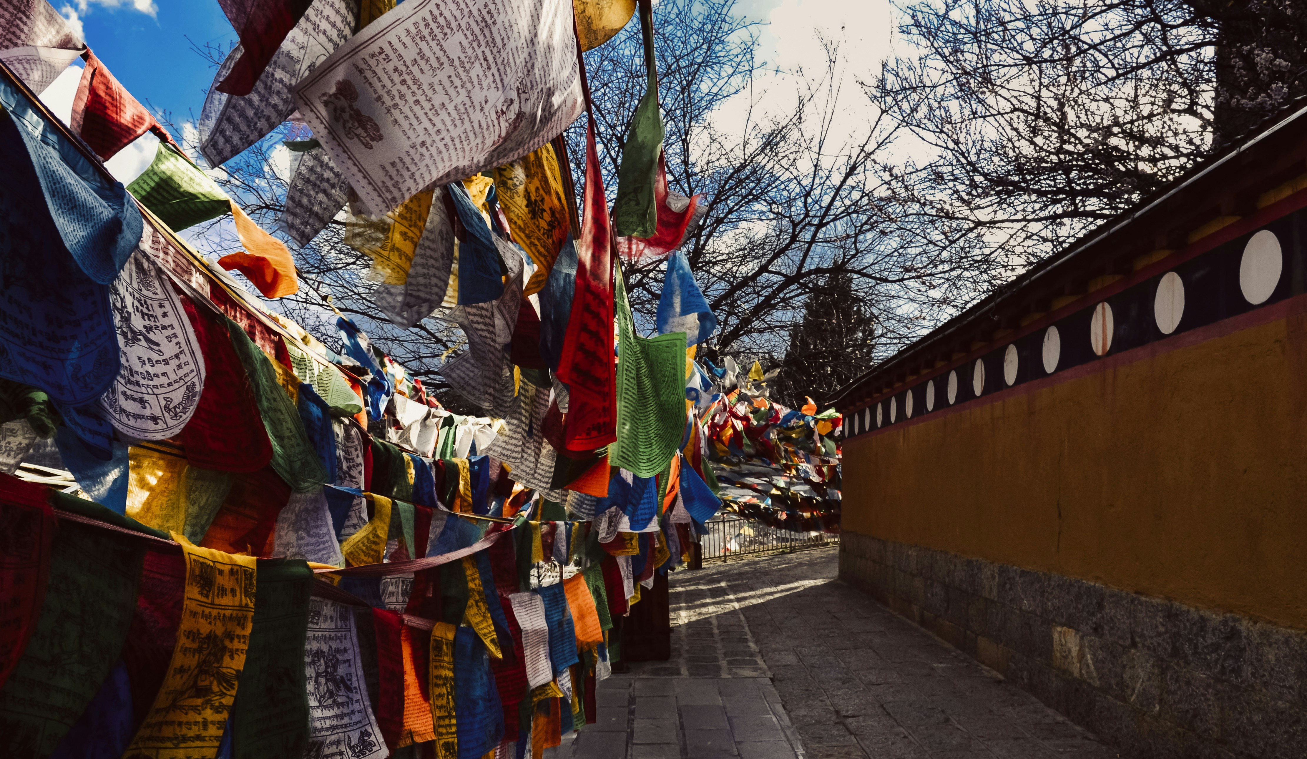 Whispers of Tradition: The Path of Prayer Flags