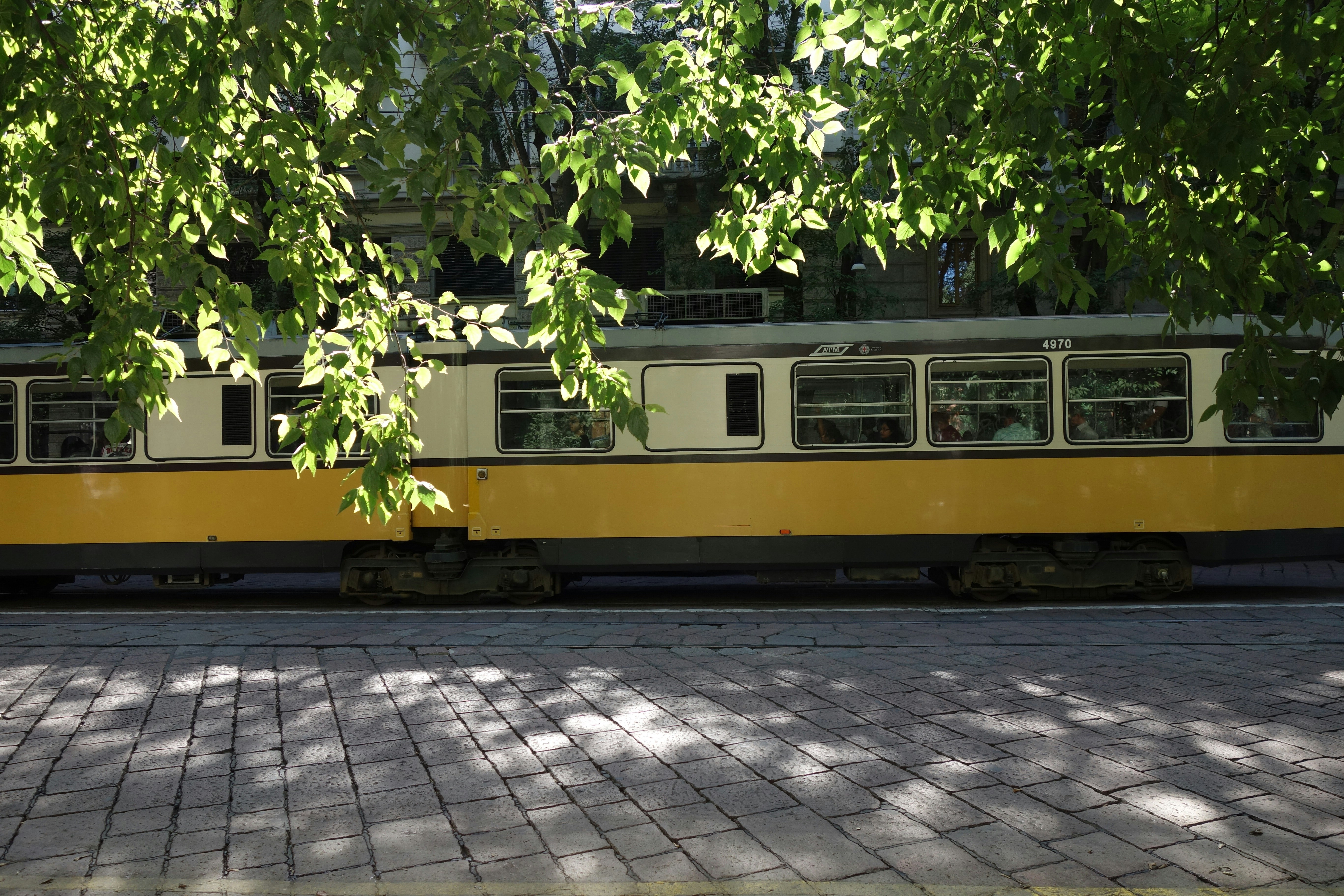 Yellow and white train parked beside a tree-lined street.