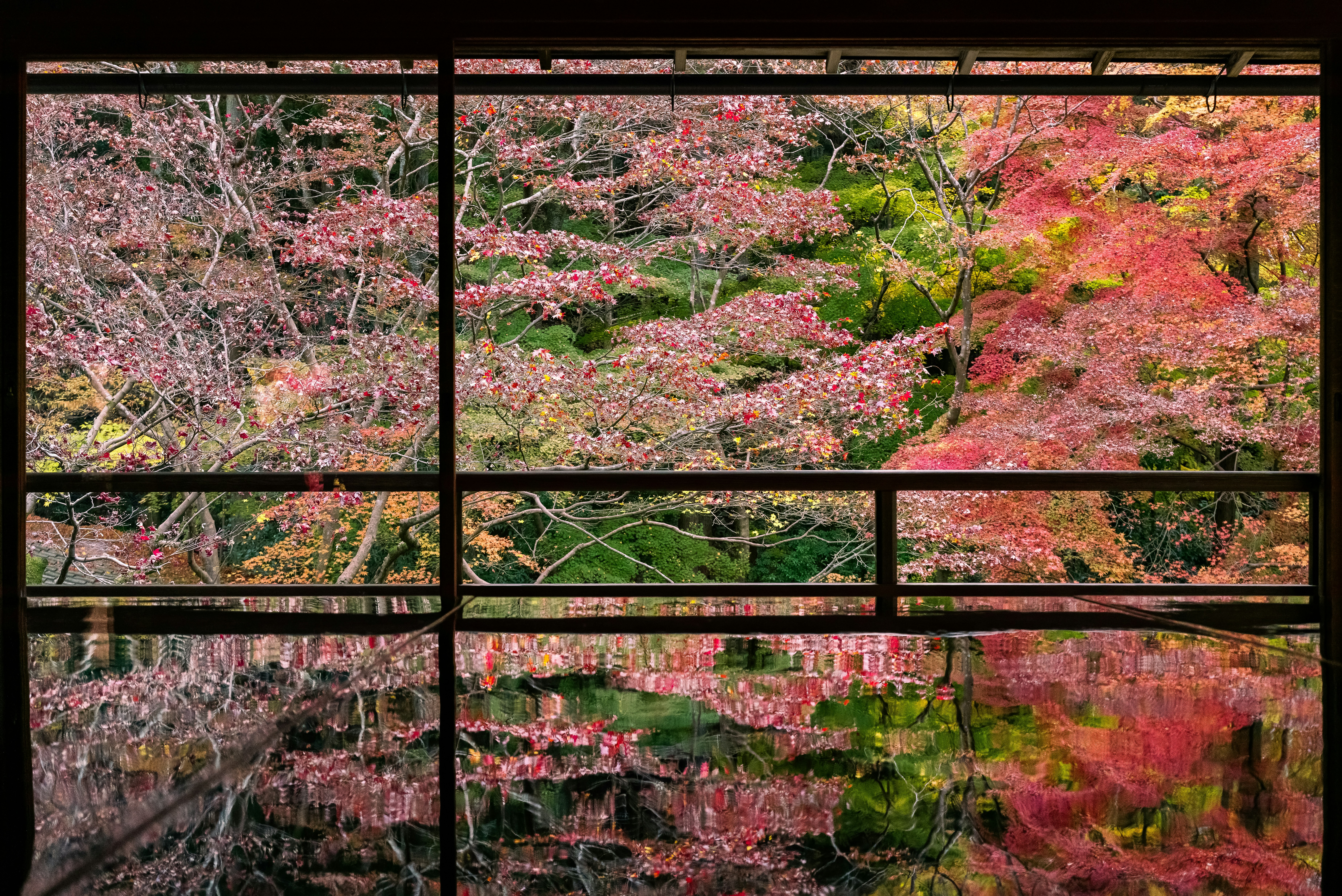 Autumn leaves seen through a traditional japanese window. photo – Free ...