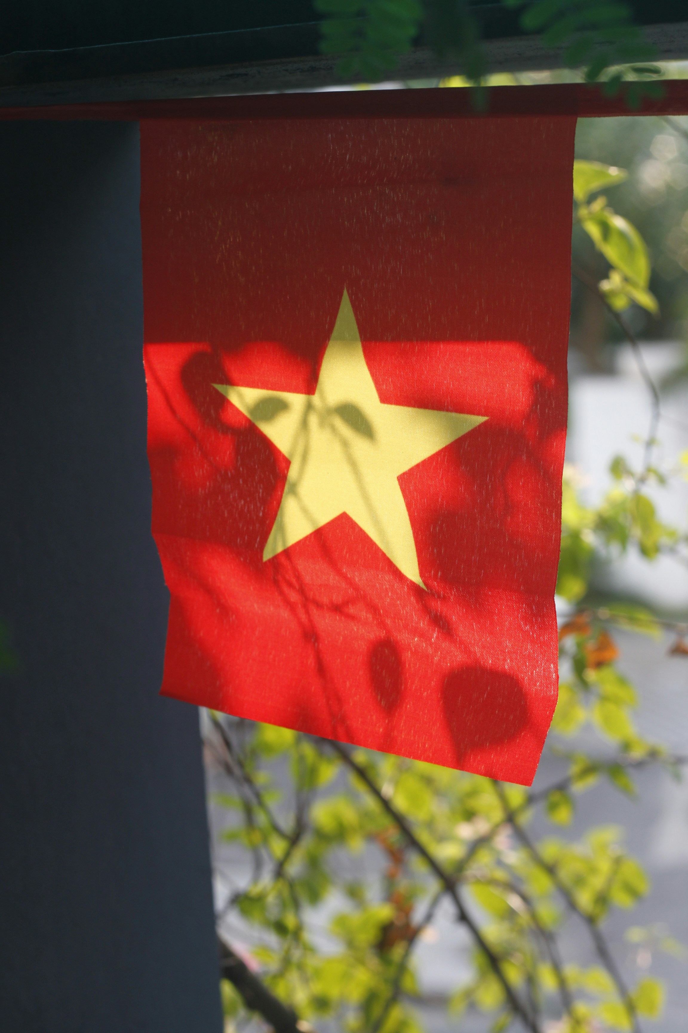 Symbol of Heritage: The Vietnamese Flag in Nature's Embrace