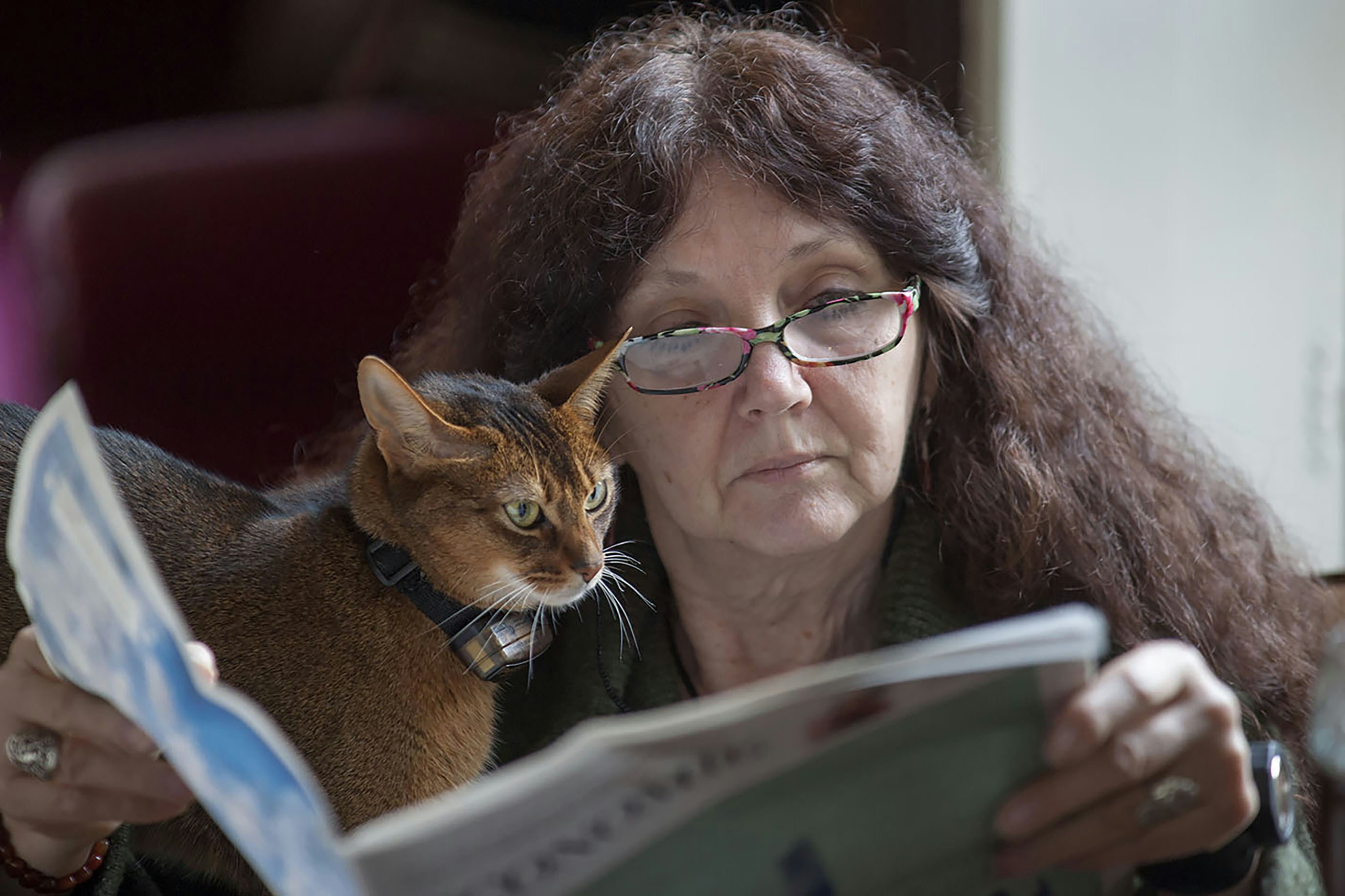 Two figures, a woman wearing glasses and a curious cat, study a folded newspaper together. The image centers on the companionship and subtle interaction as both look toward the same page.