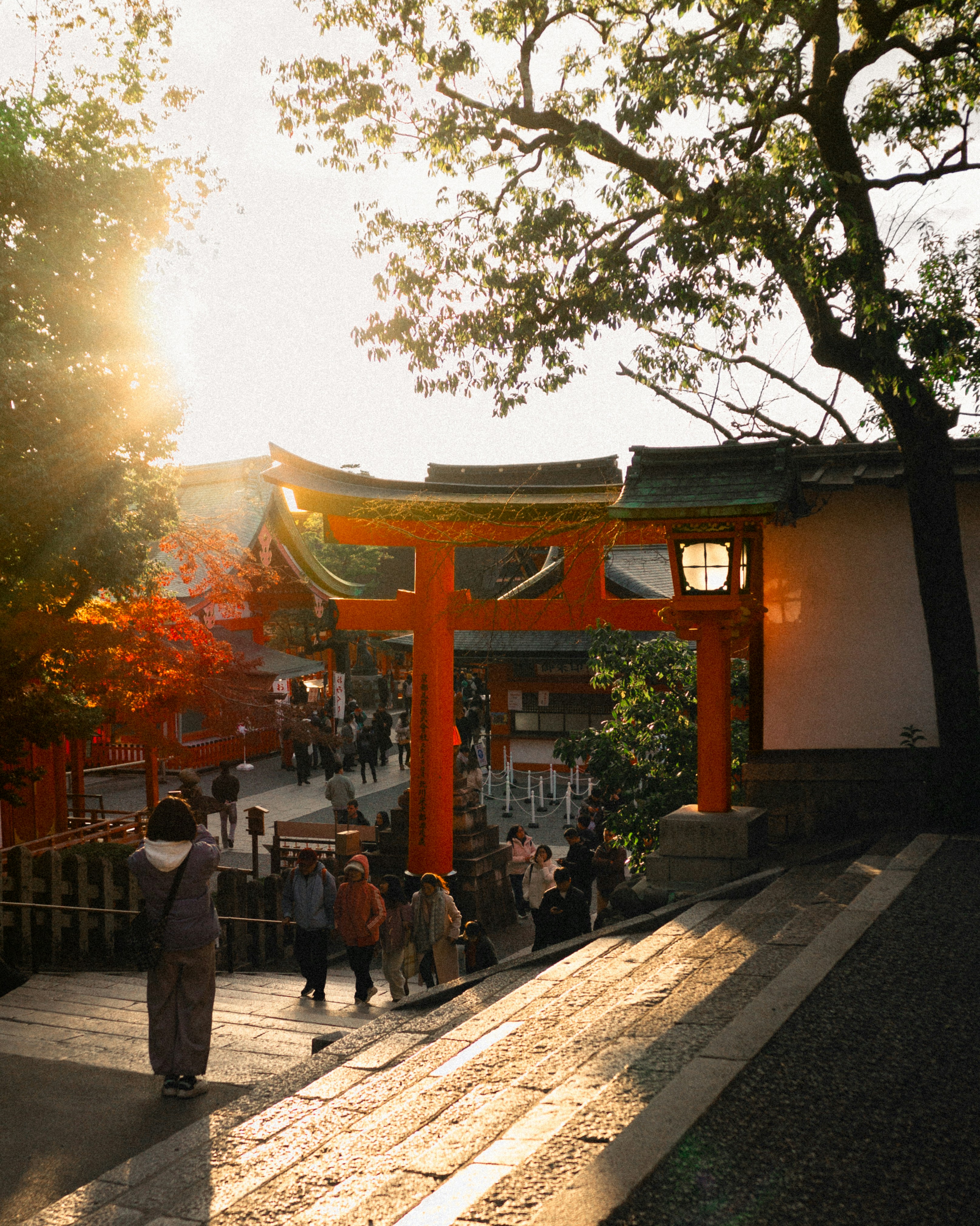 People walk up stone steps toward a large orange torii gate.