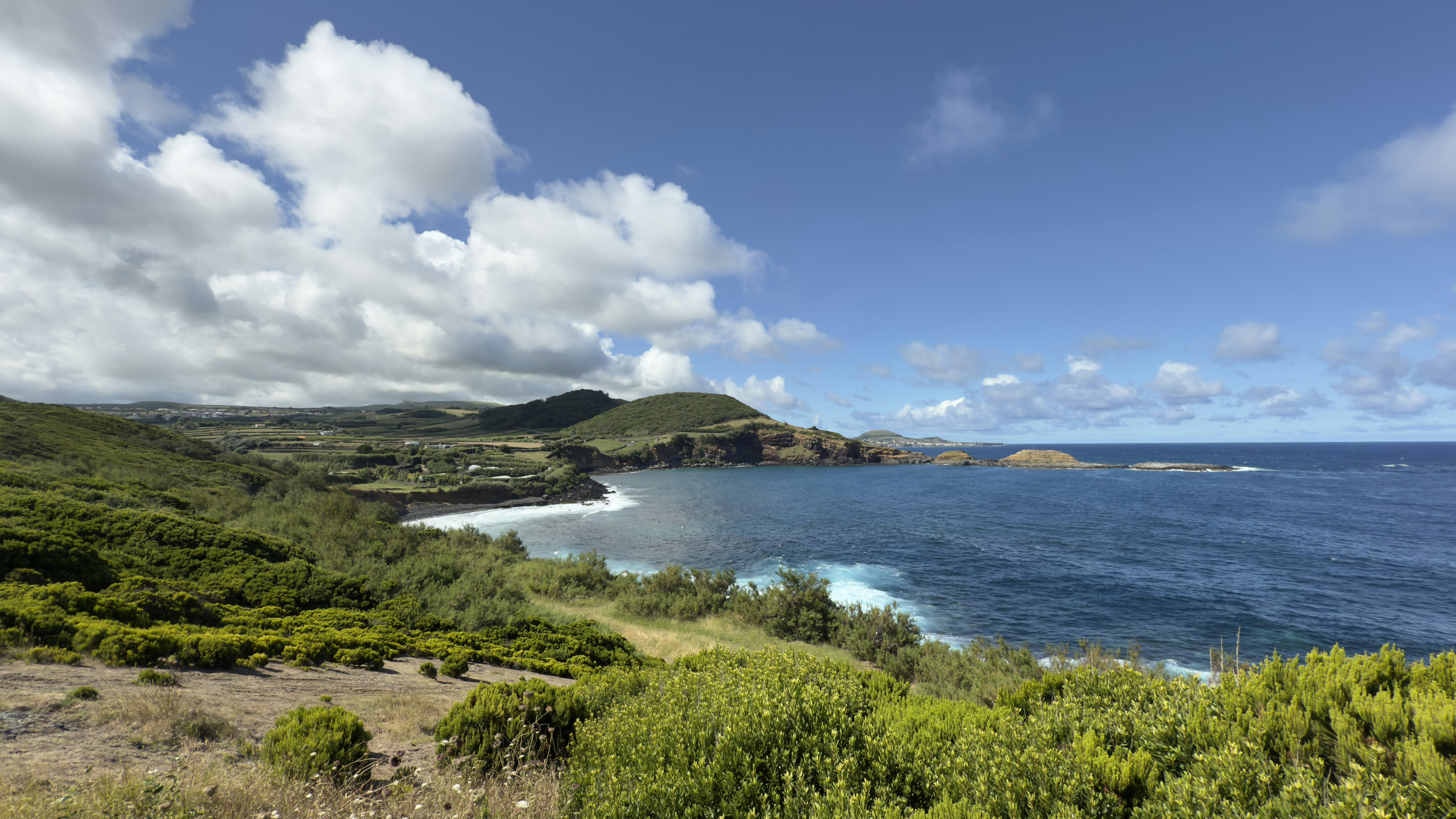 Vibrant coastal landscape showcasing lush greenery meeting the ocean under a dynamic sky. The scene captures the essence of nature's tranquility.