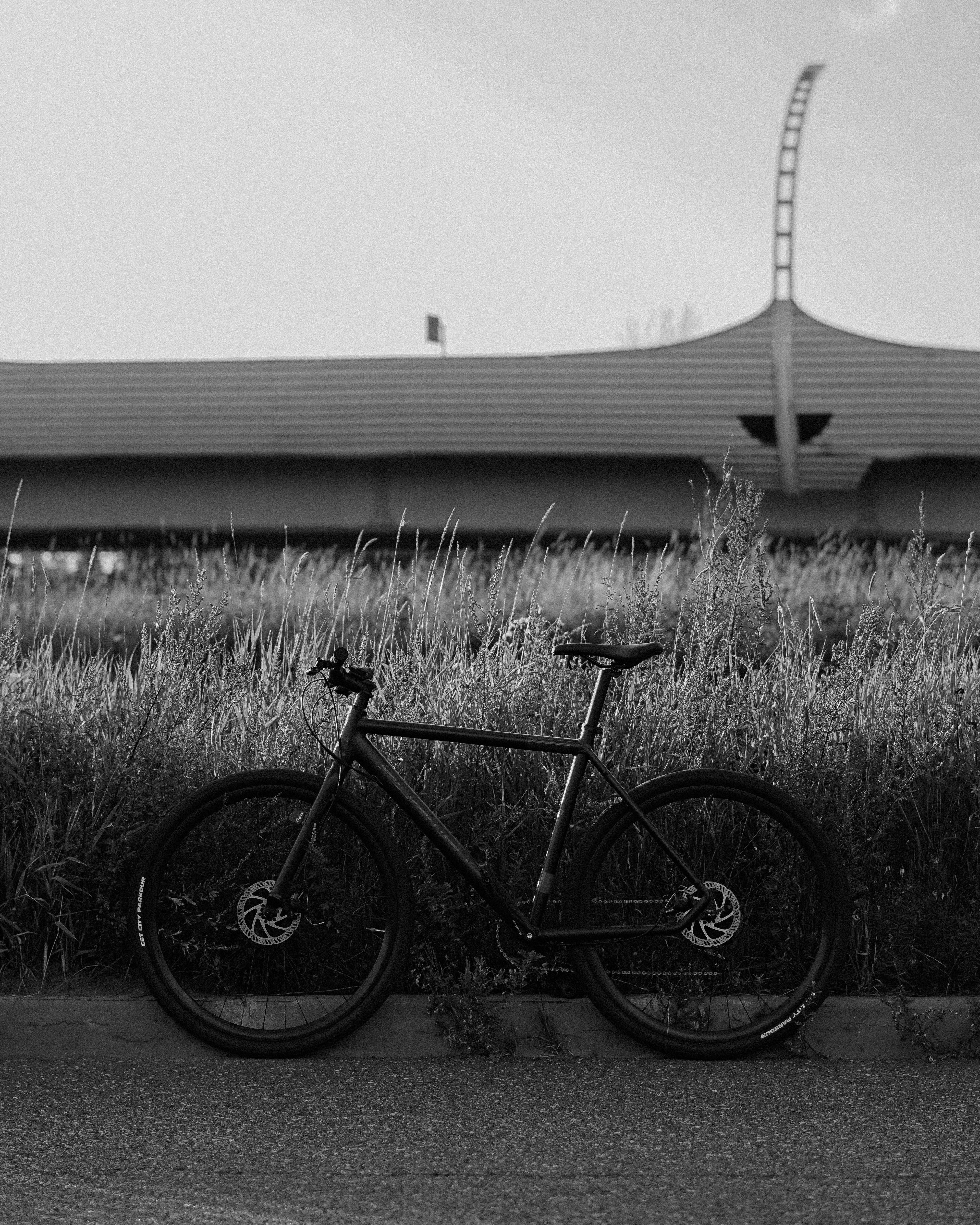 Black bicycle parked beside tall grass and highway overpass.