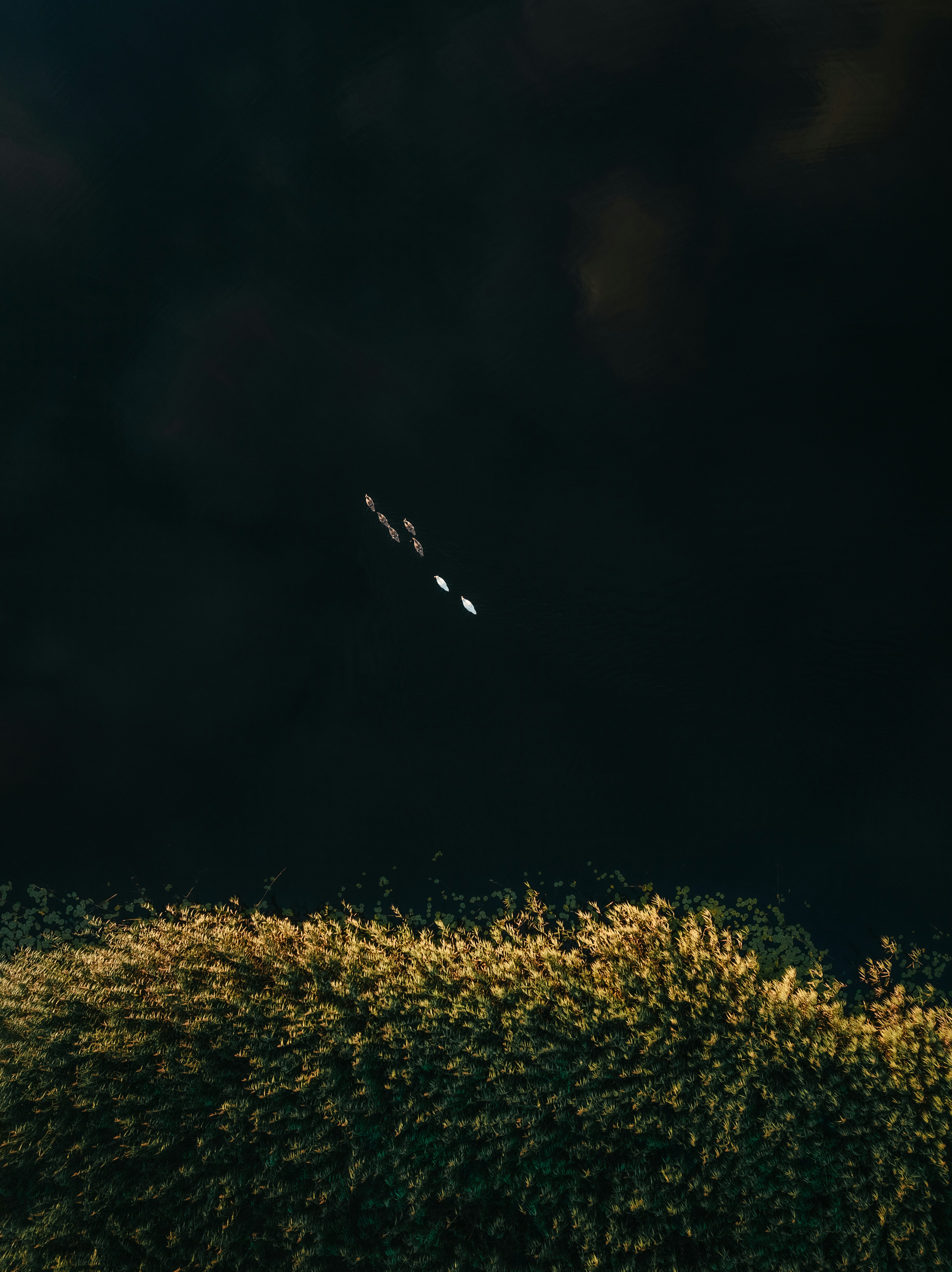Boats with lights on dark water at night