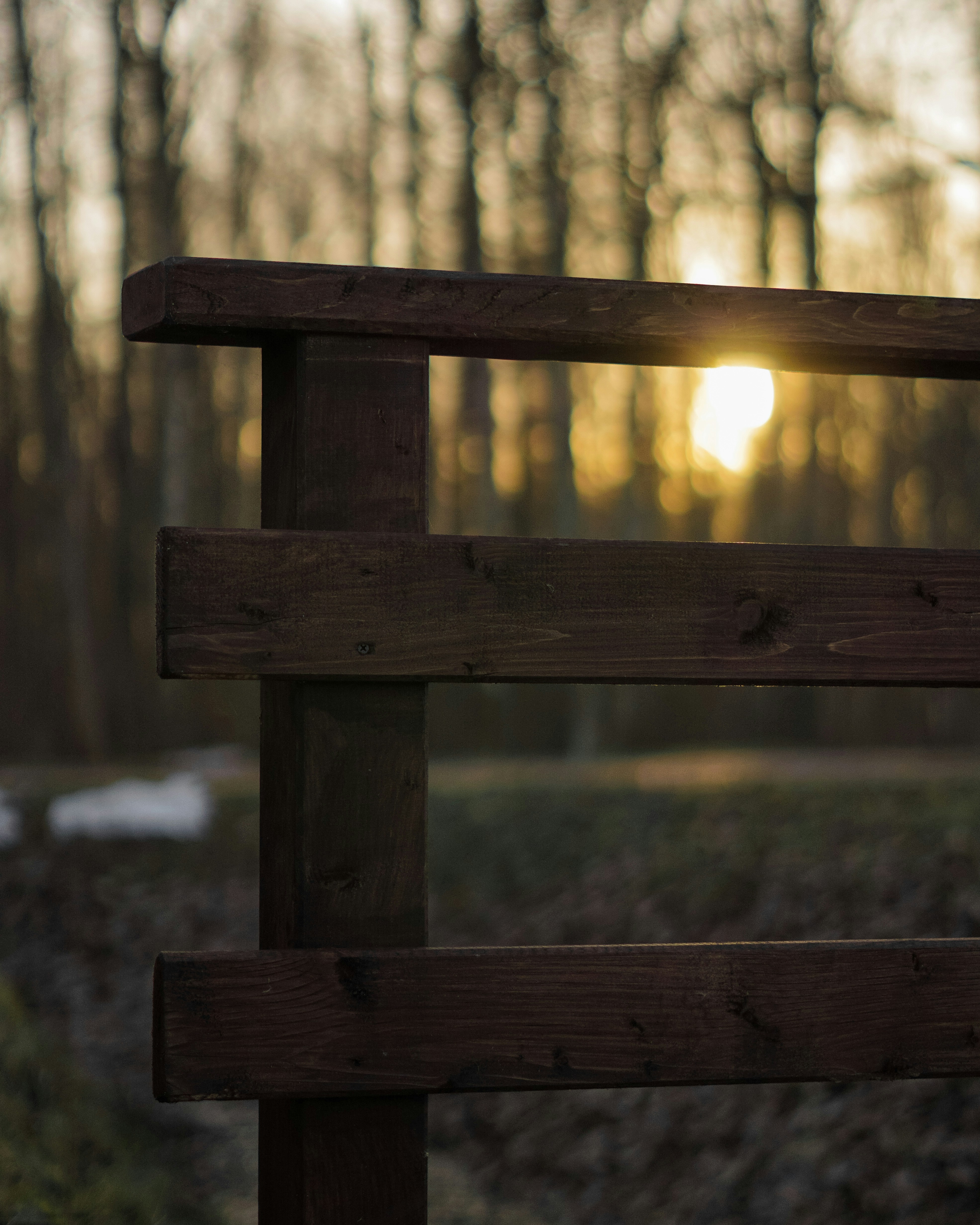Wooden railing with sun shining through trees