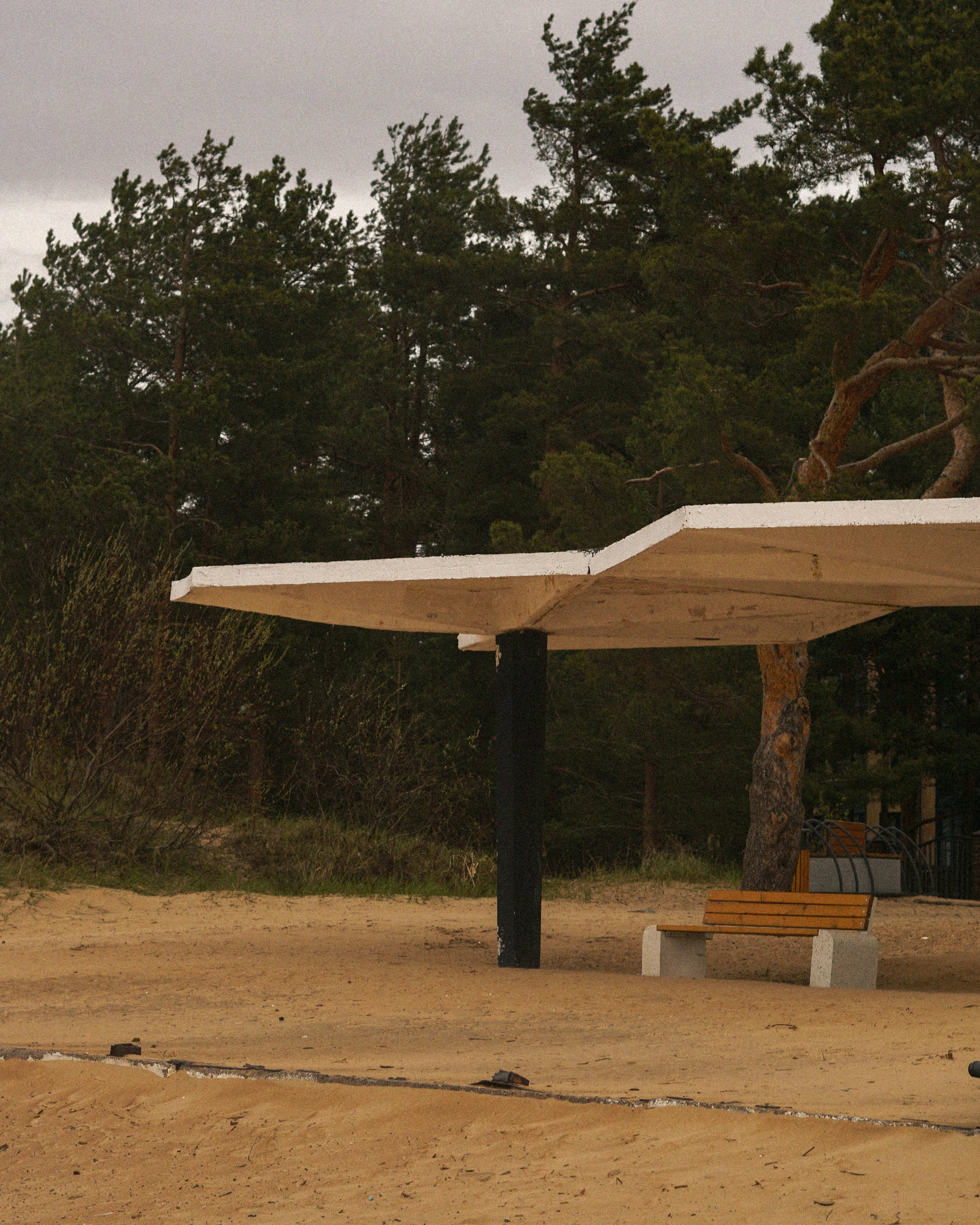 Minimalist Shelter Rising Over a Sandy Clearing Beneath Pine Shadows