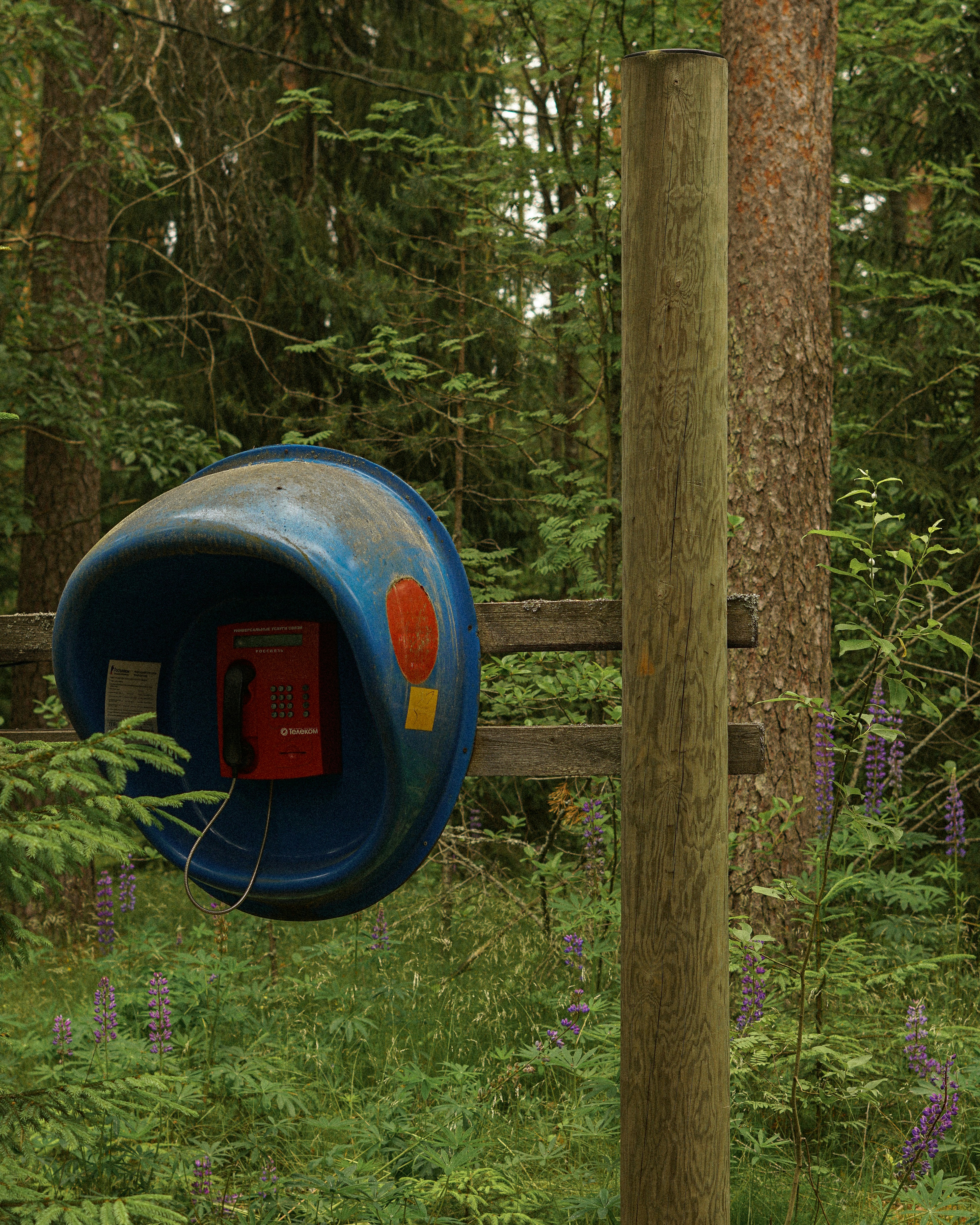 Old blue telephone booth in a forest setting