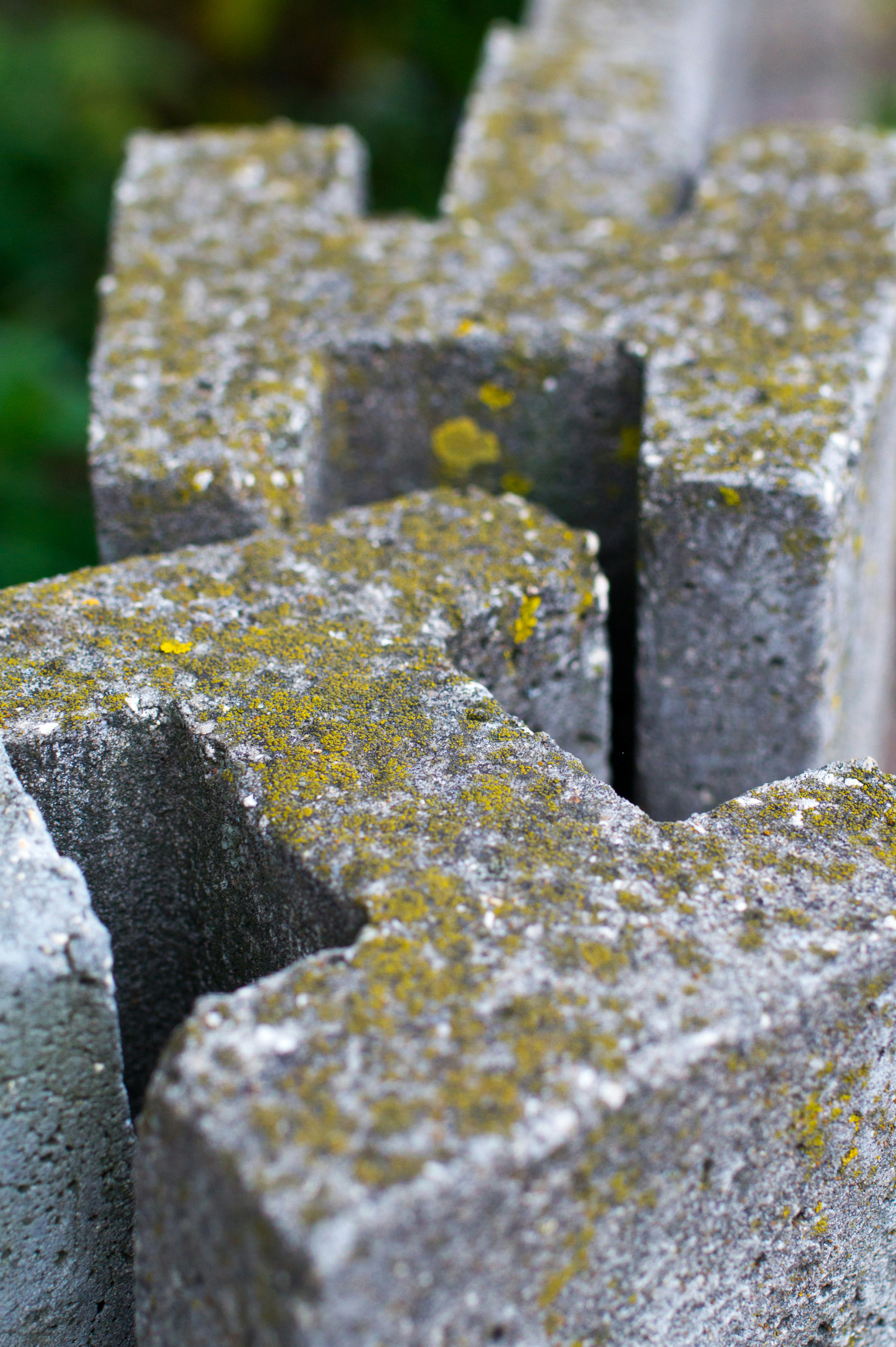 Nature's Subtle Canvas: The Art of Weathered Concrete