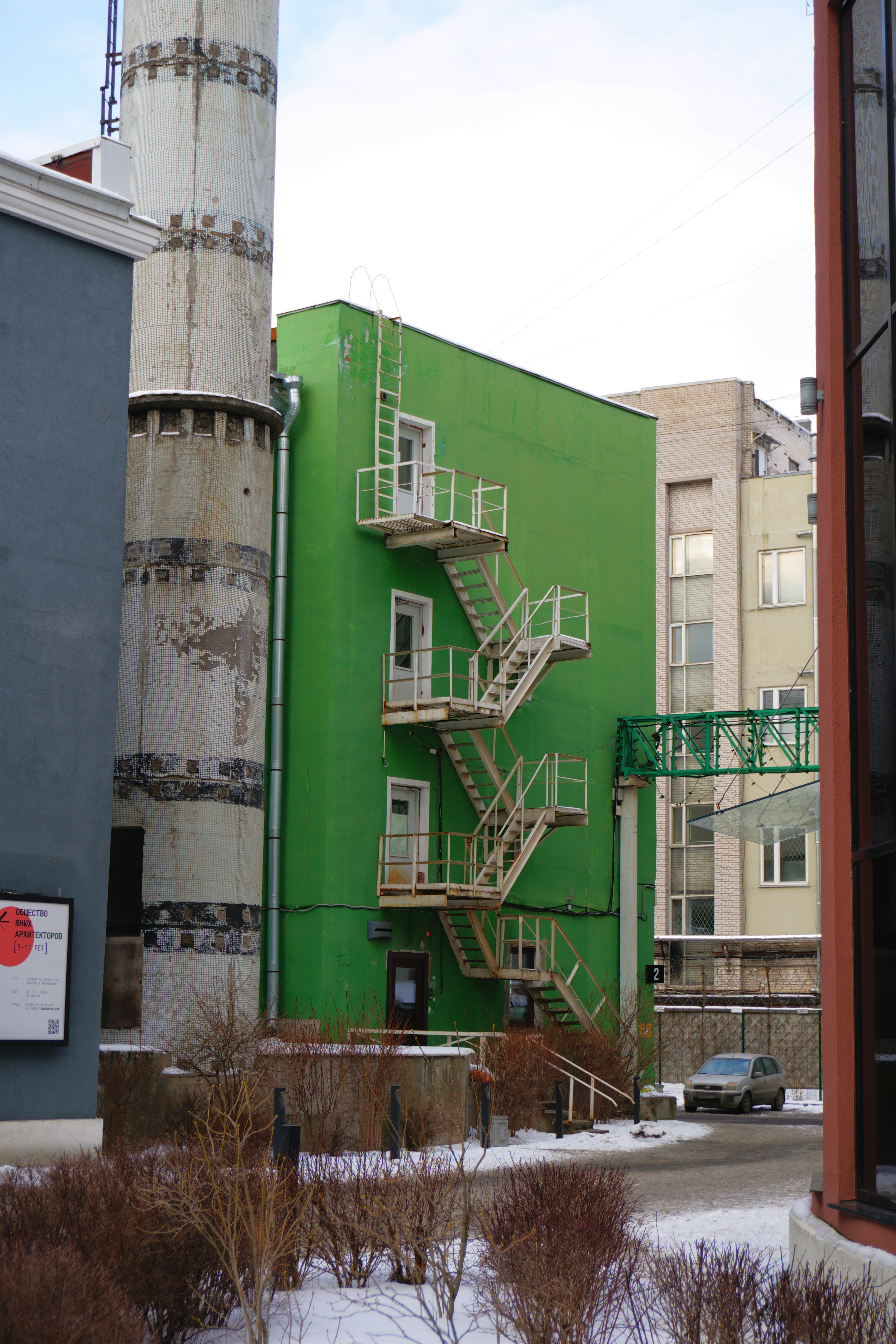 Urban Green: A Splash of Color Amidst Concrete