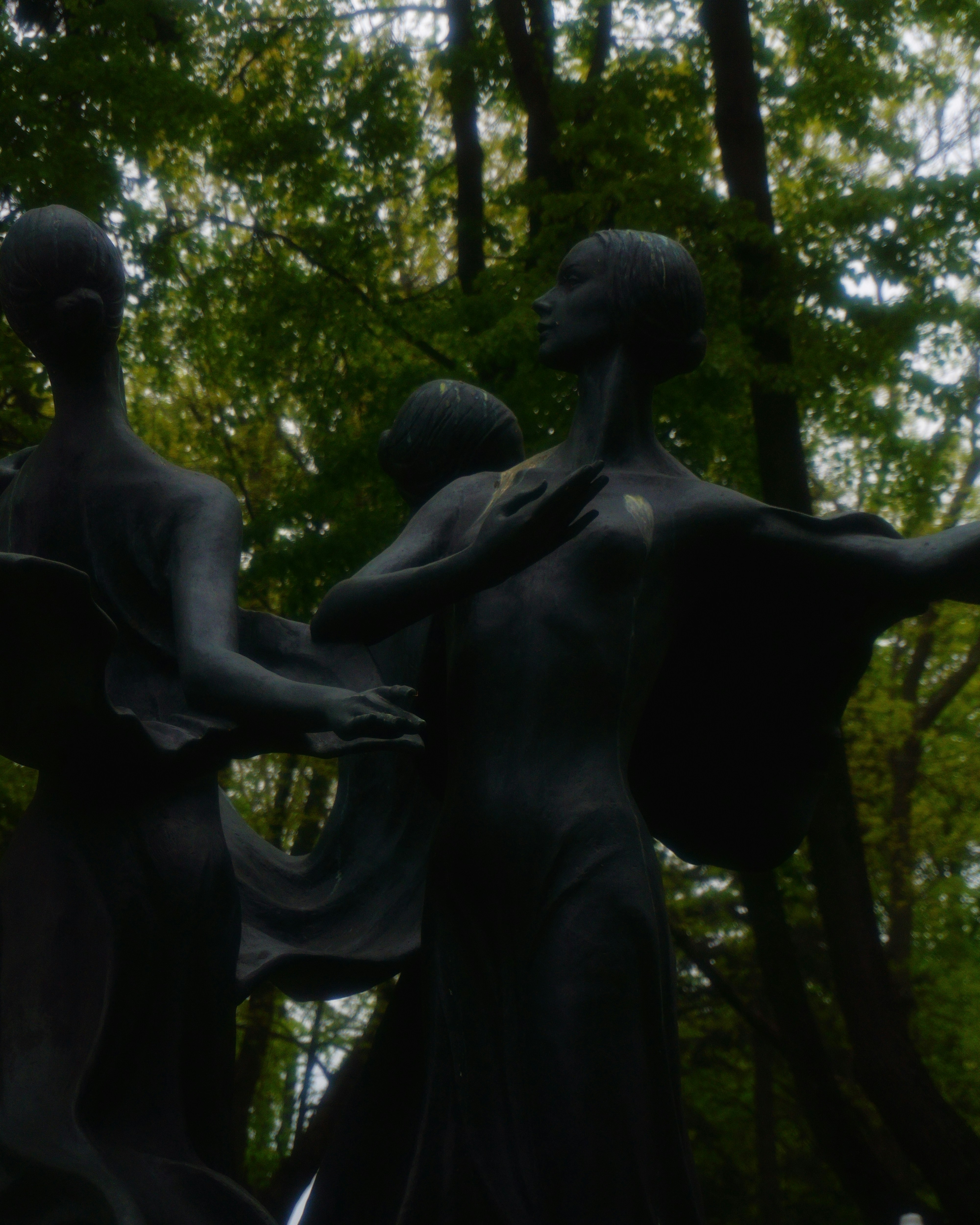 Harmony in Motion: A Dance of Shadows