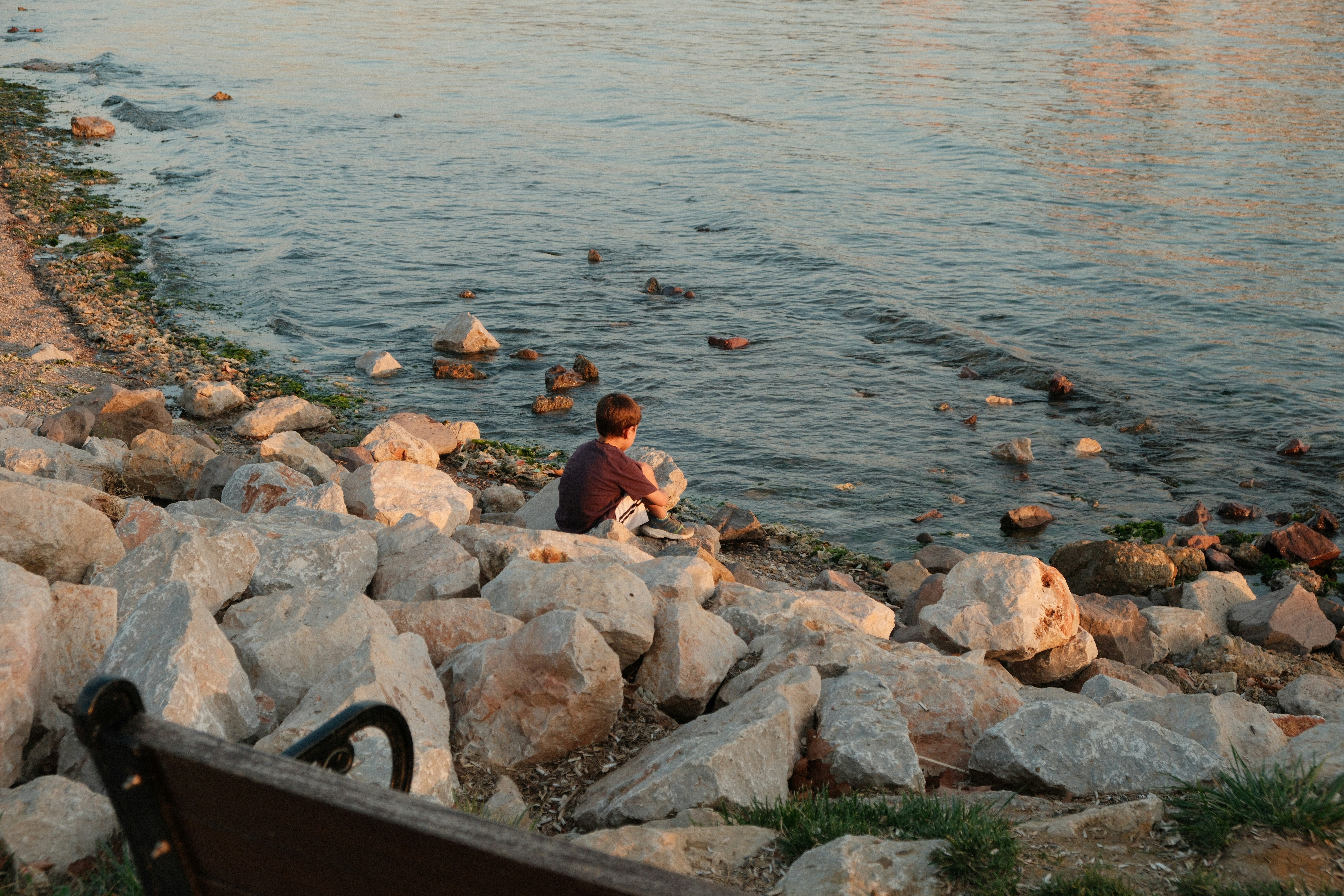 Reflections by the Water's Edge