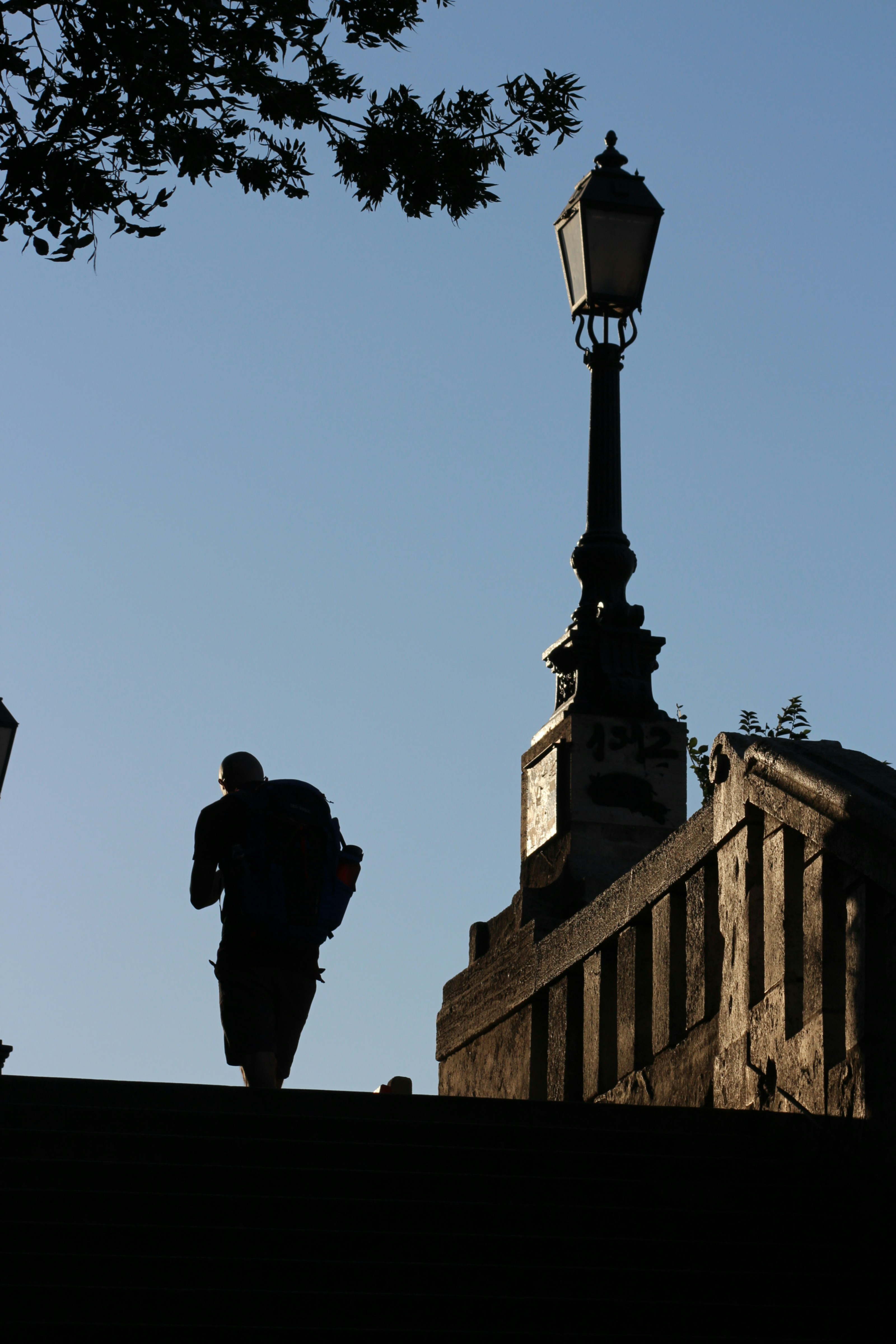 Journey Through Shadows: A Stroll into the Unknown