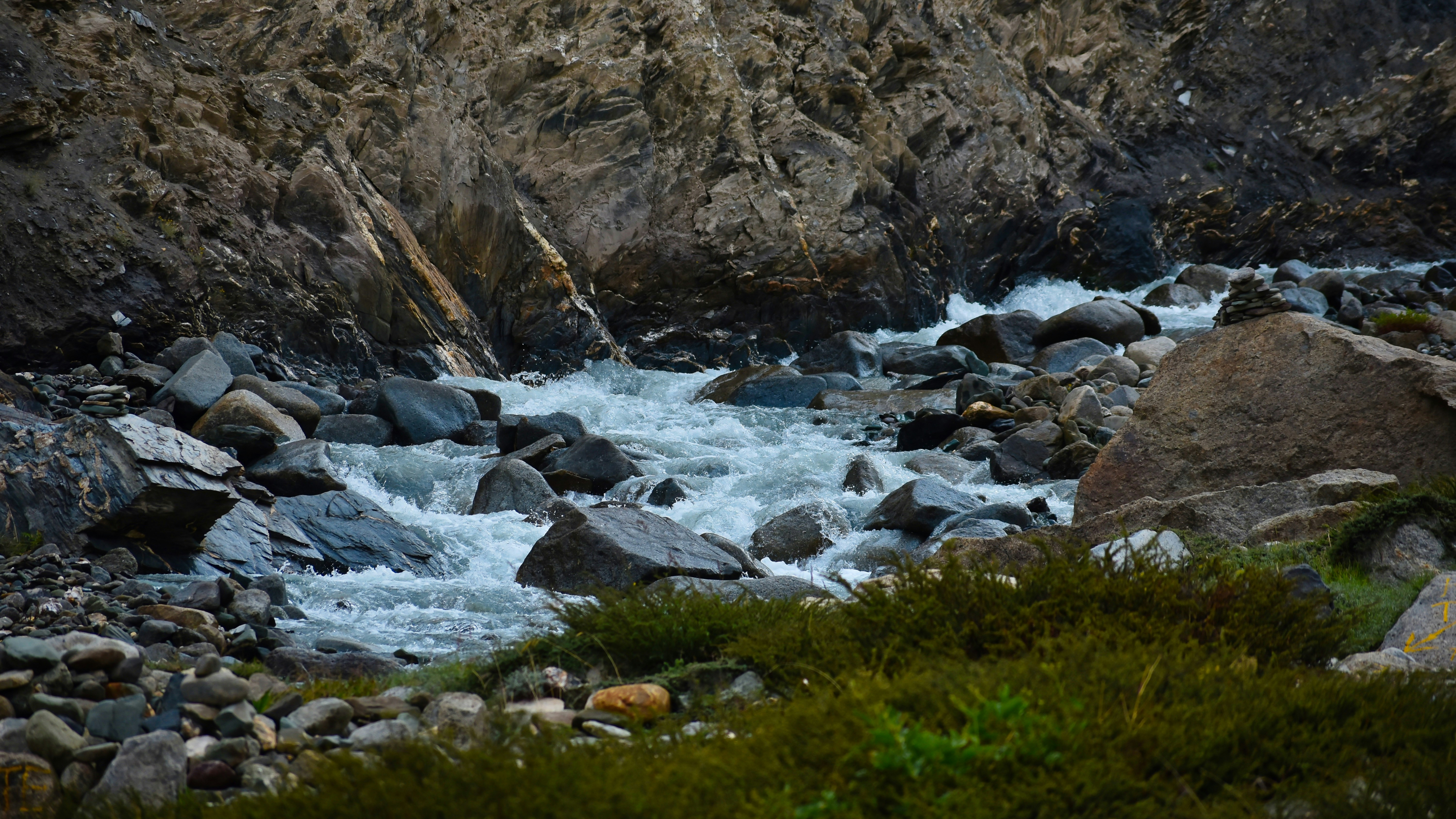 Whispers of the Mountain Stream