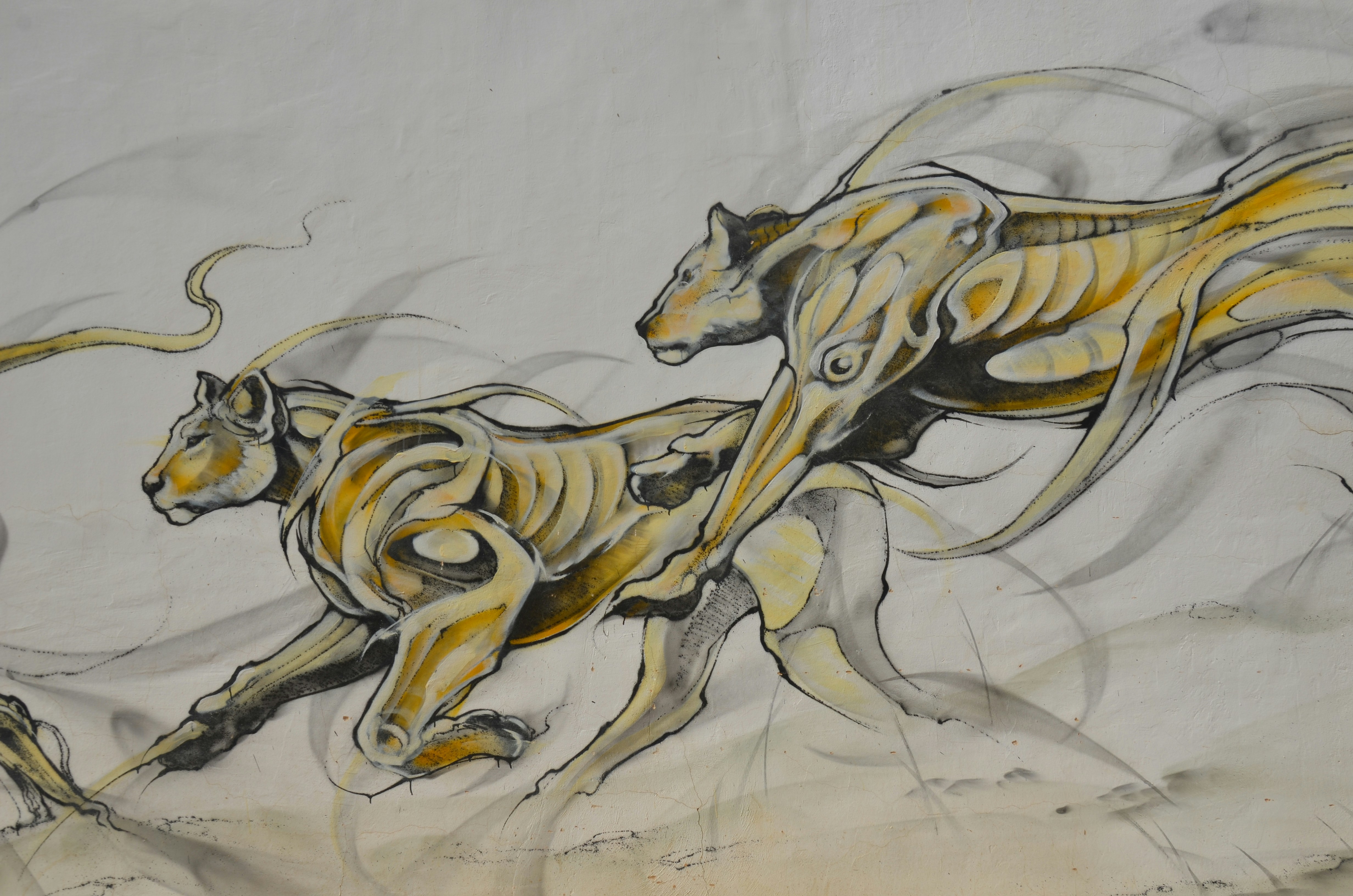 Dynamic Elegance: The Art of Movement