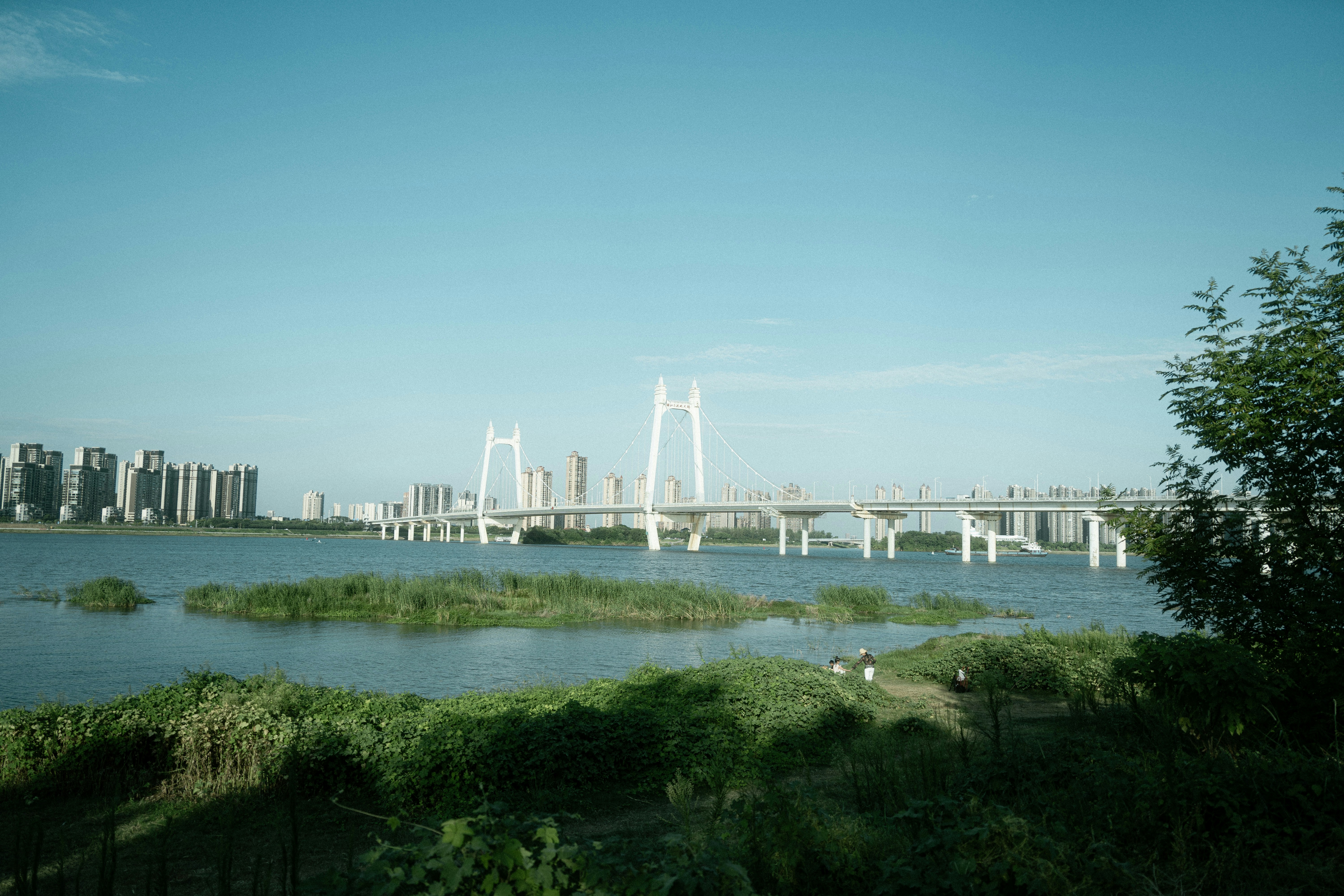 Bridging Nature and Urban Life