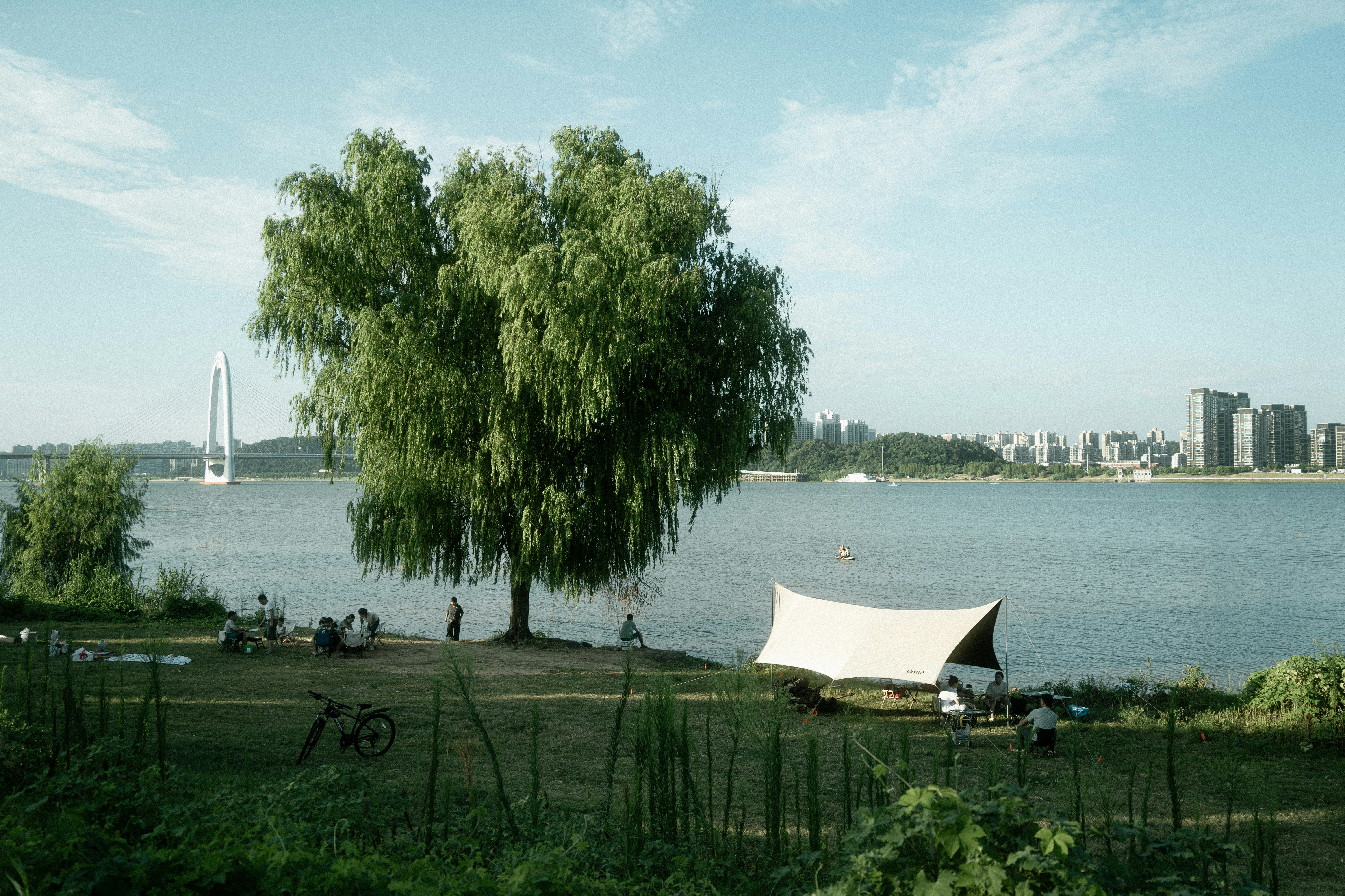 People relaxing by a river with a large tree and tent.