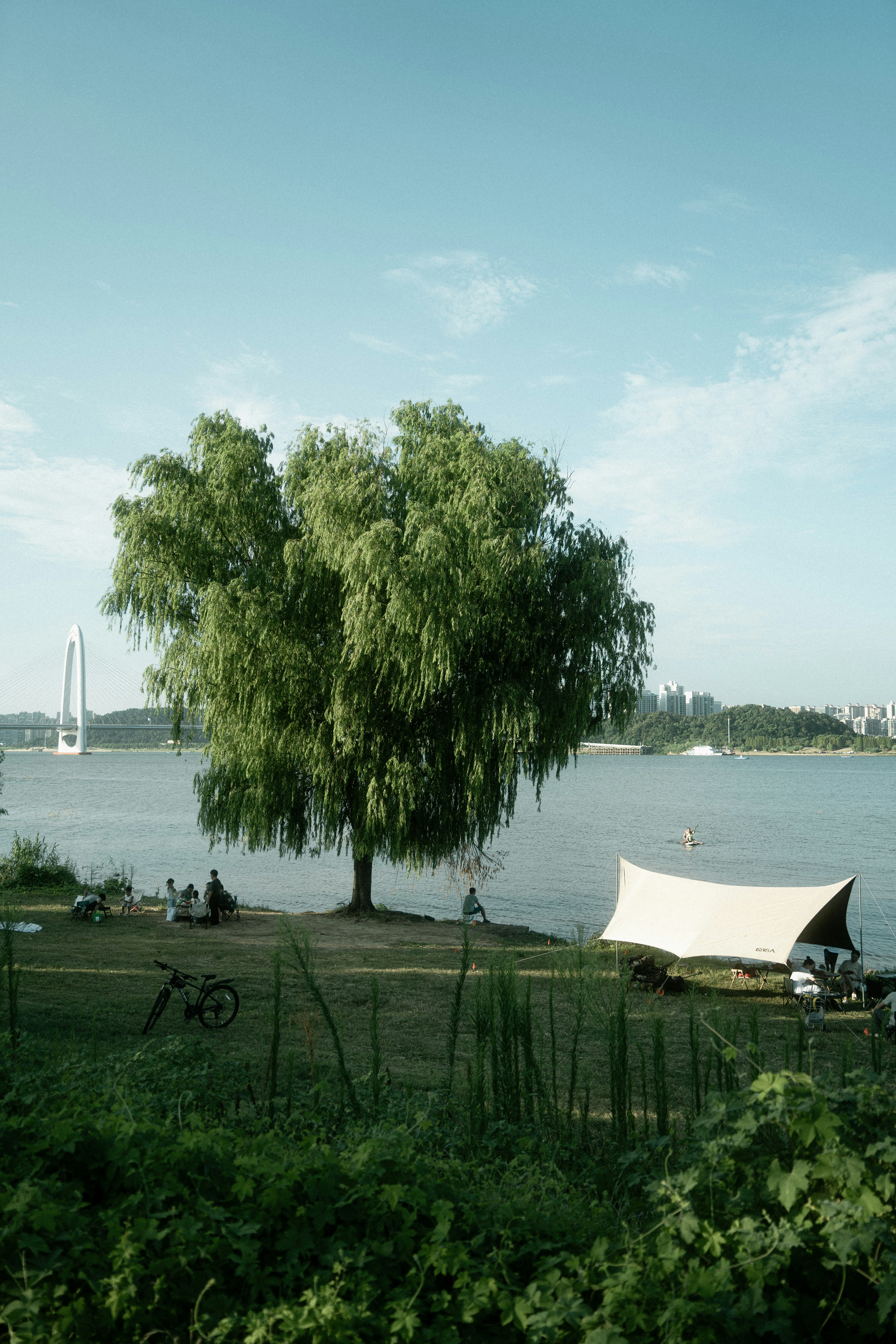 A lush willow tree stands prominently by a tranquil waterfront, with people enjoying leisure activities nearby. The skyline features a modern architectural structure in the background.