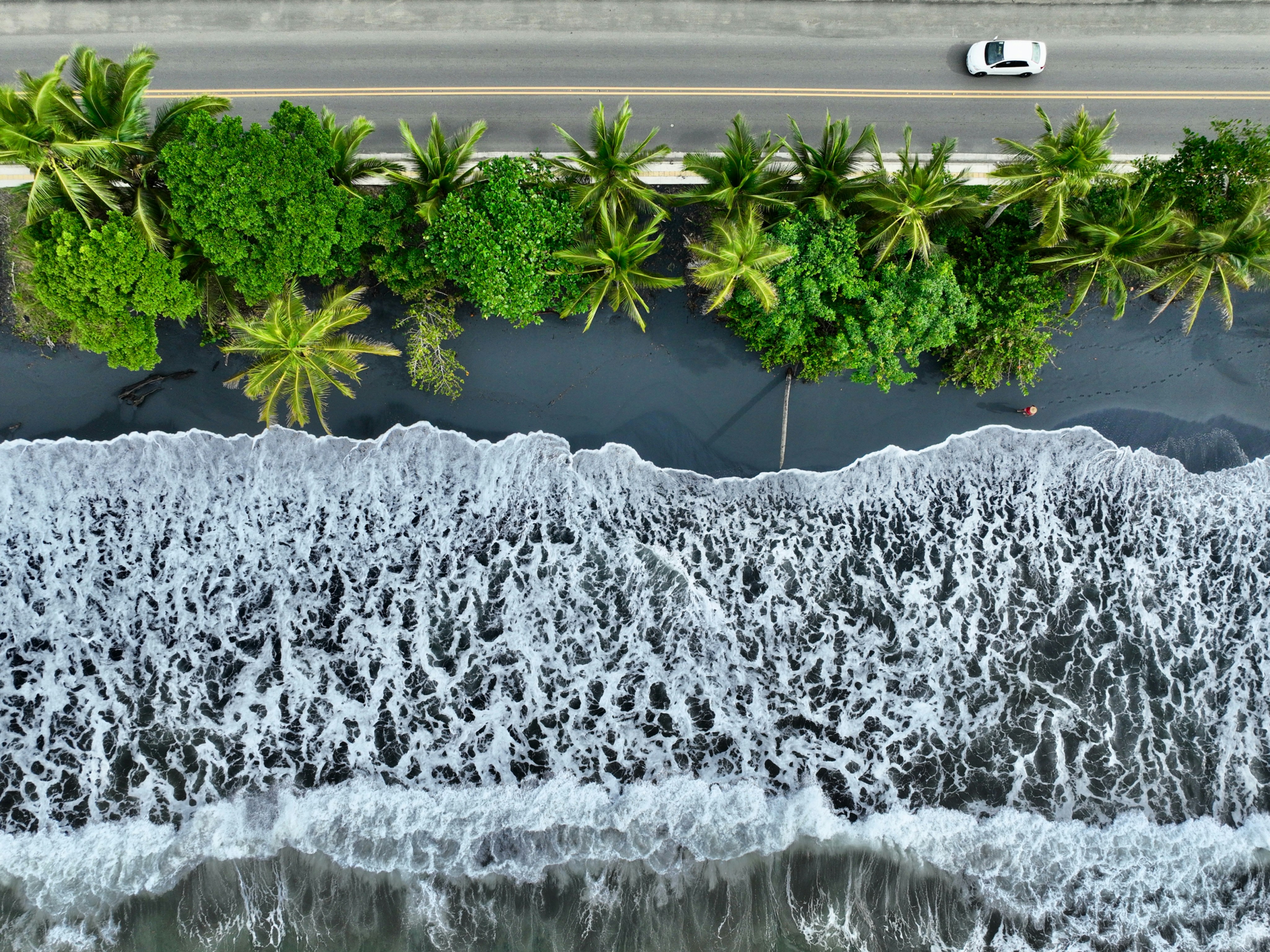 Aerial view of a vibrant coastline where lush palm trees meet the frothy waves, with a road and a car visible above.
