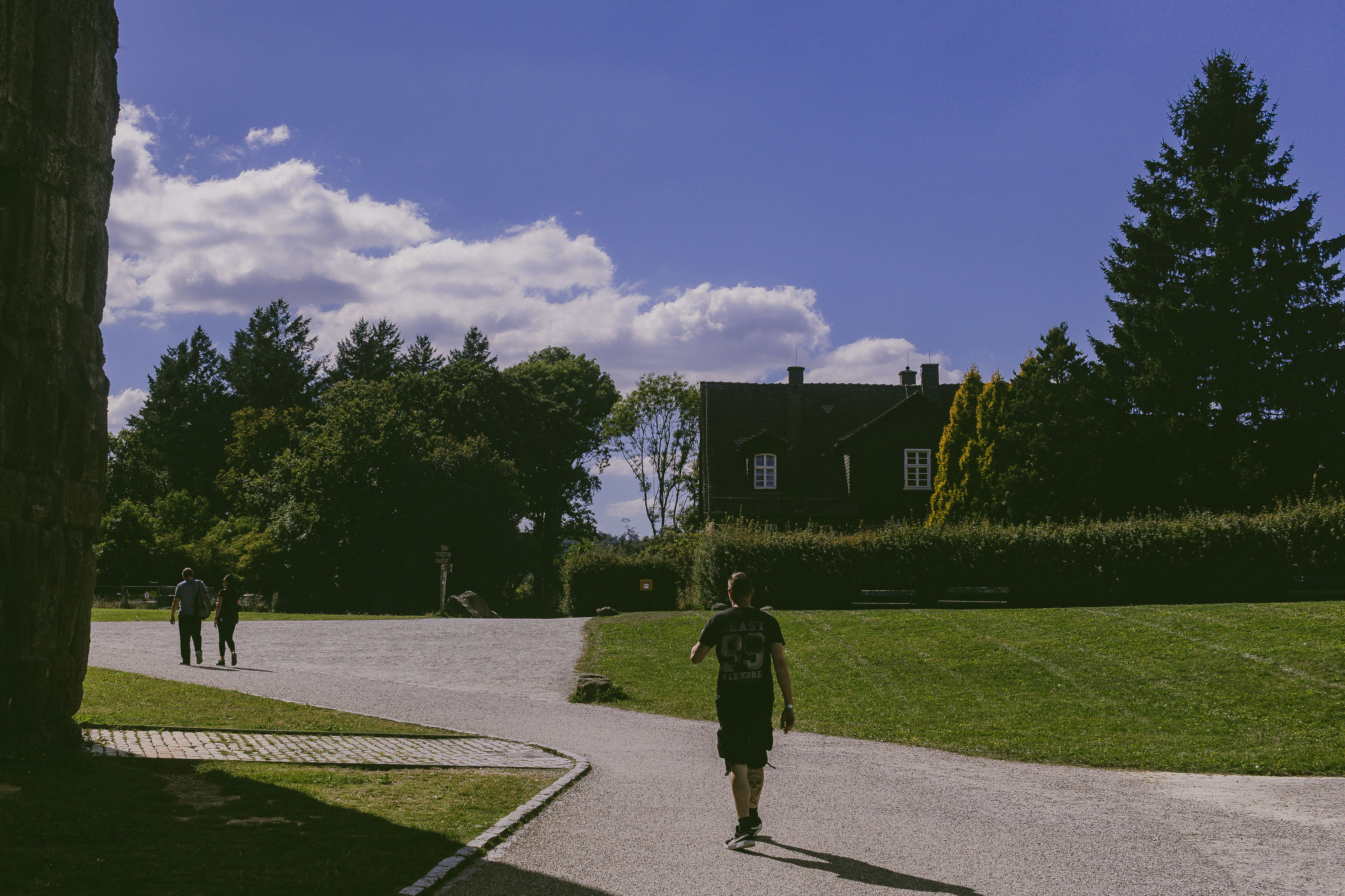 A Serene Stroll Through Nature's Embrace