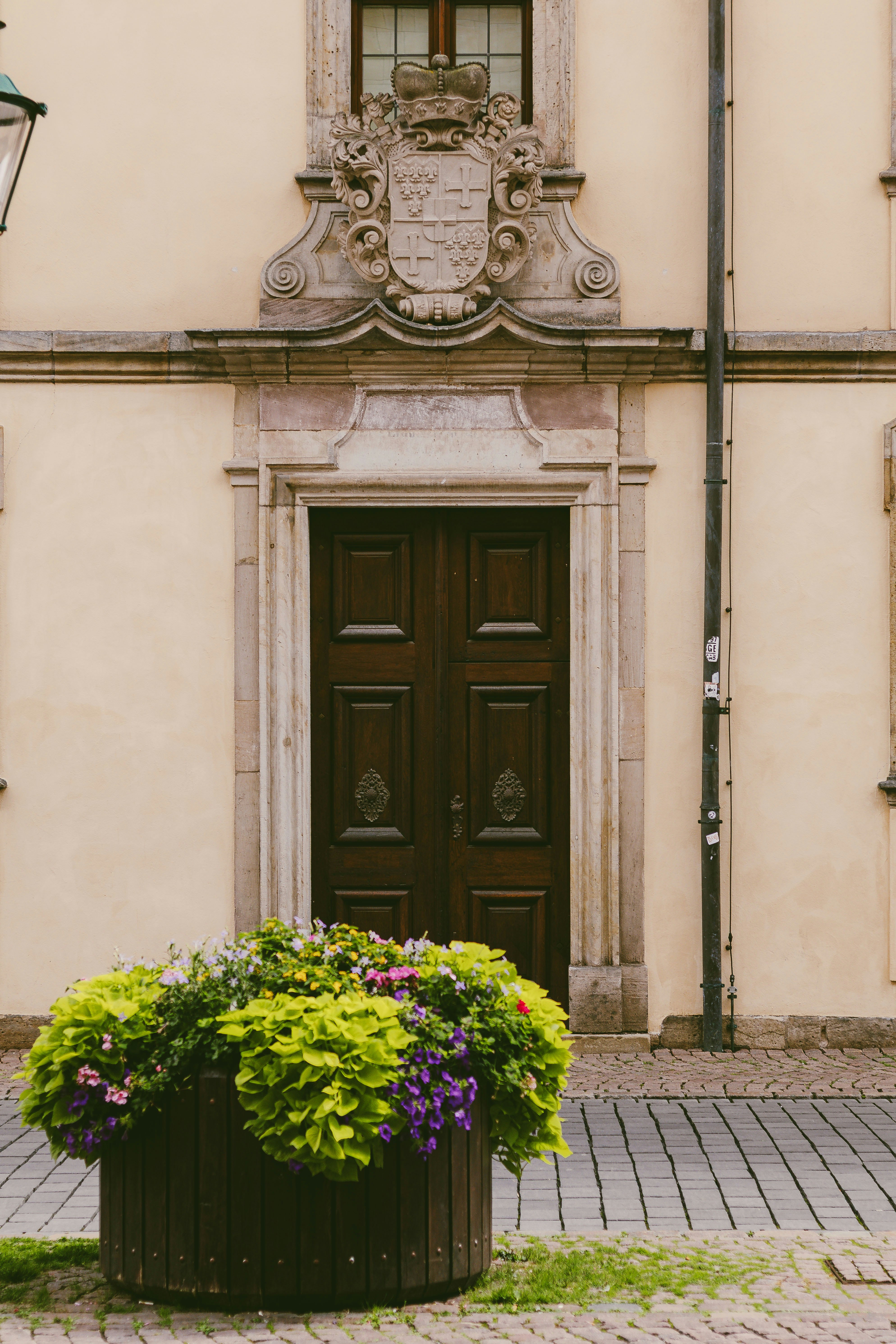 A beautifully crafted wooden door adorned with intricate carvings, framed by a vibrant flower planter, set against a soft pastel wall.