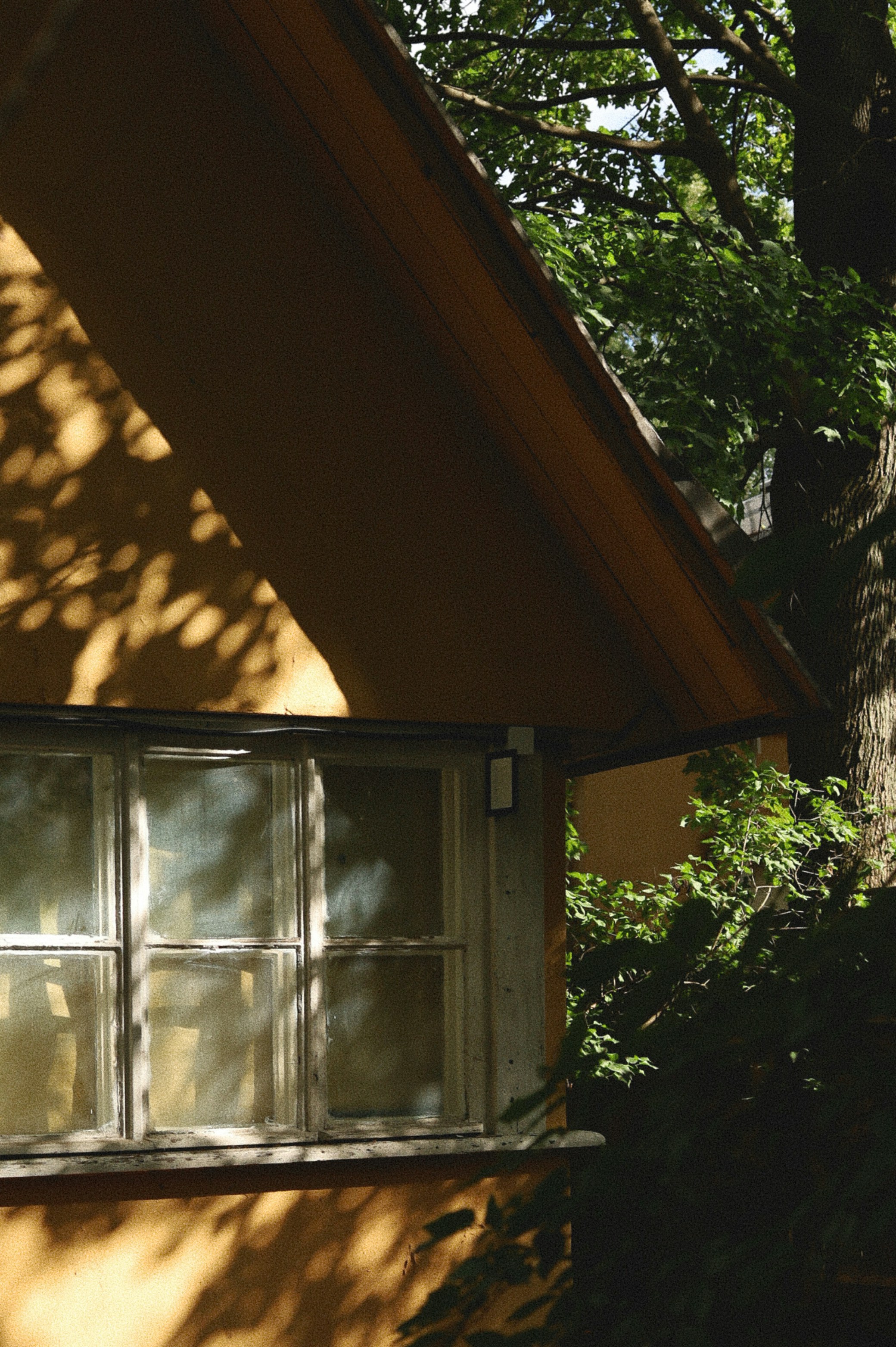 Sunny side of a house with large windows and trees.