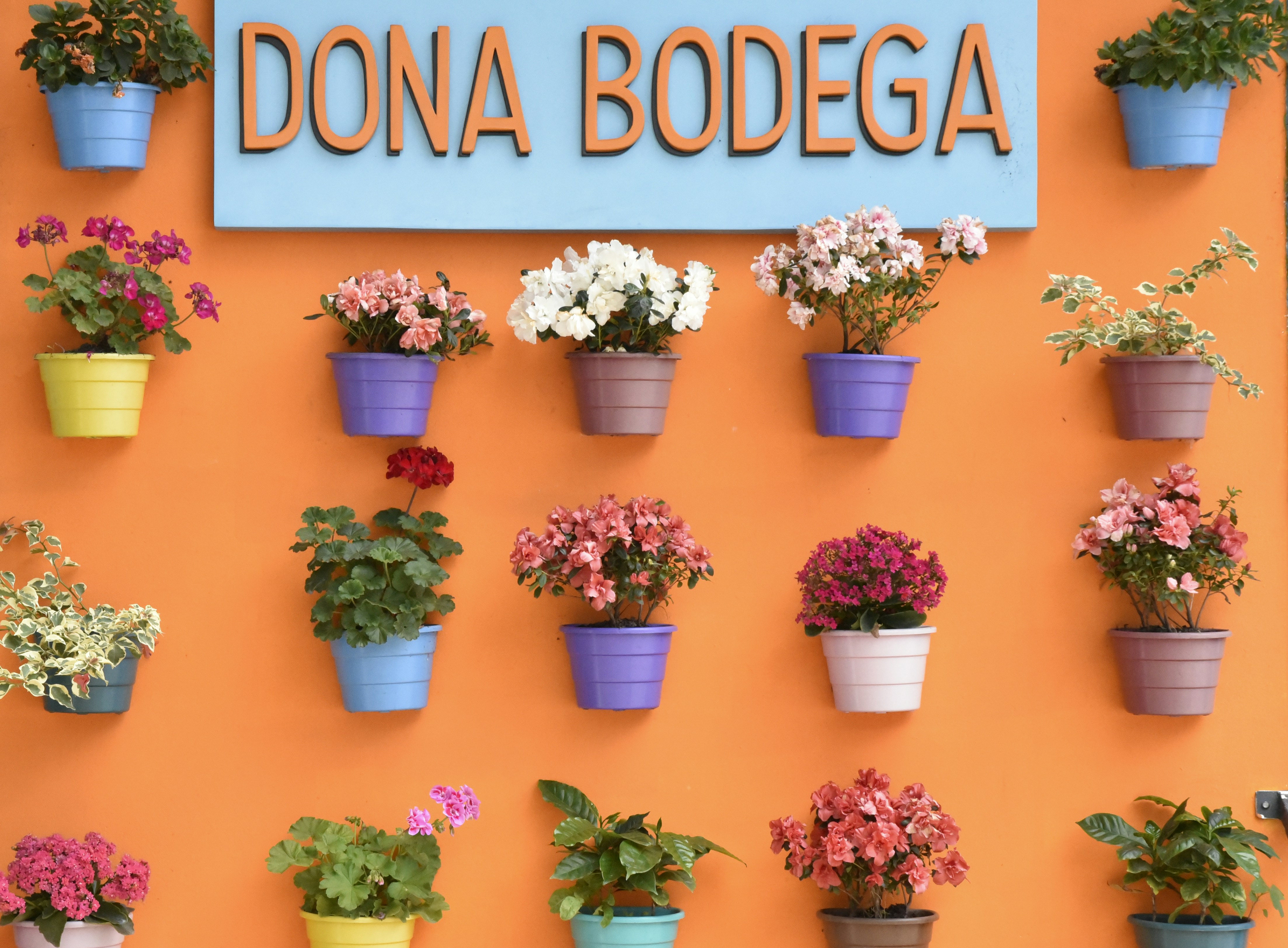 Orange Wall Serenade: A Gallery of Painted Flower Pots under a Bright Sign