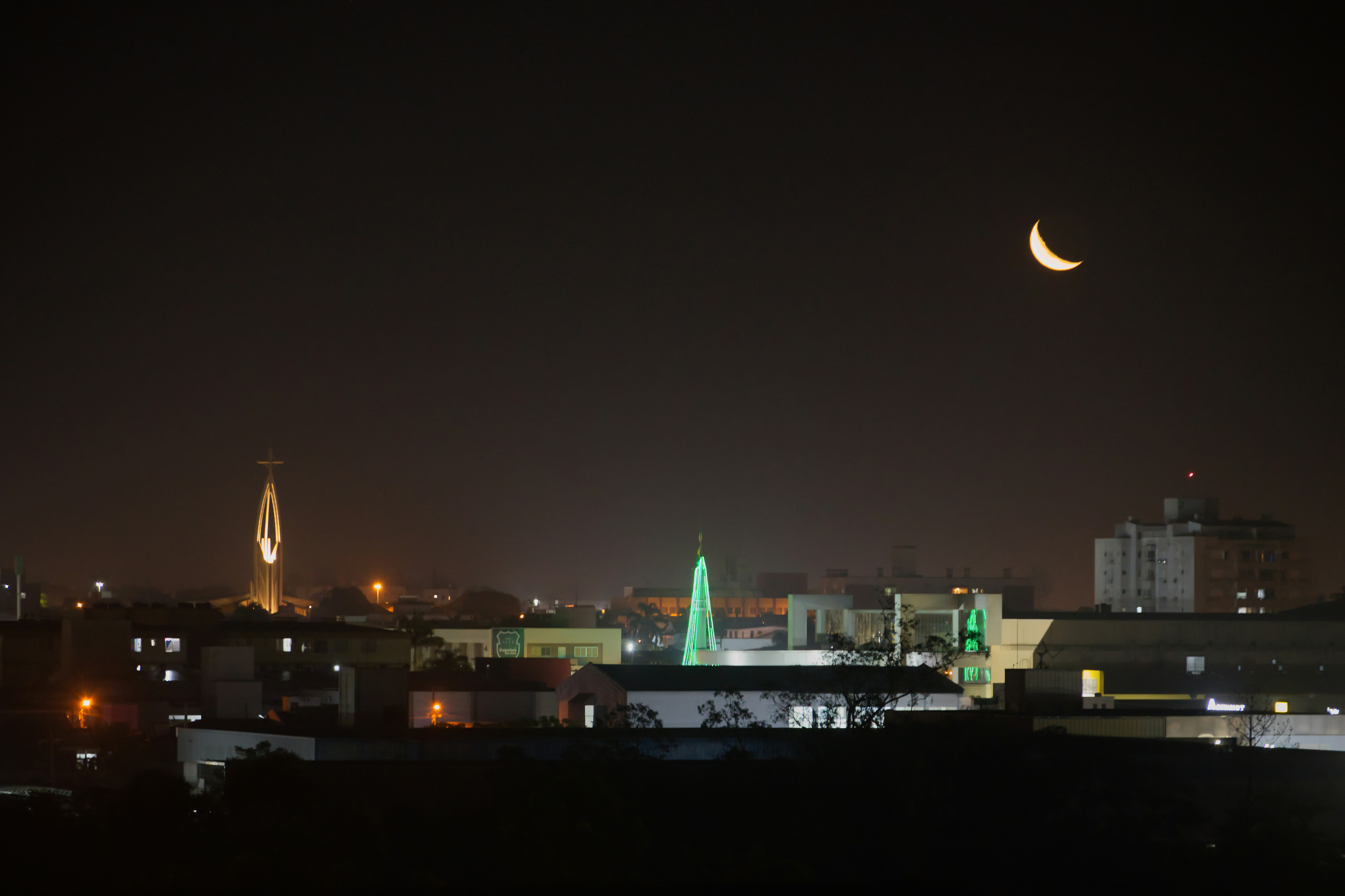 Whispers of the Night: A Celestial Canvas