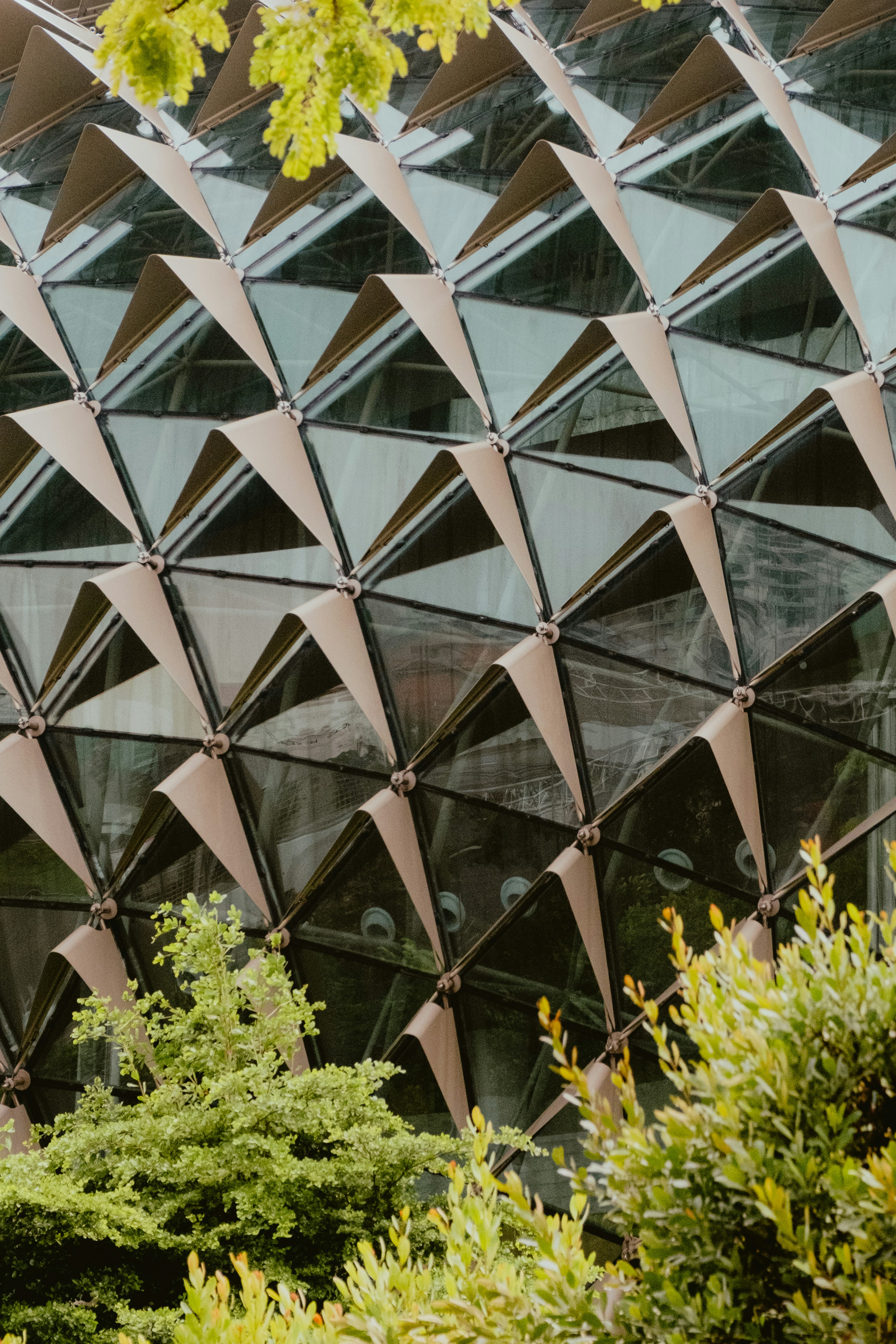 Geometric building facade with green foliage