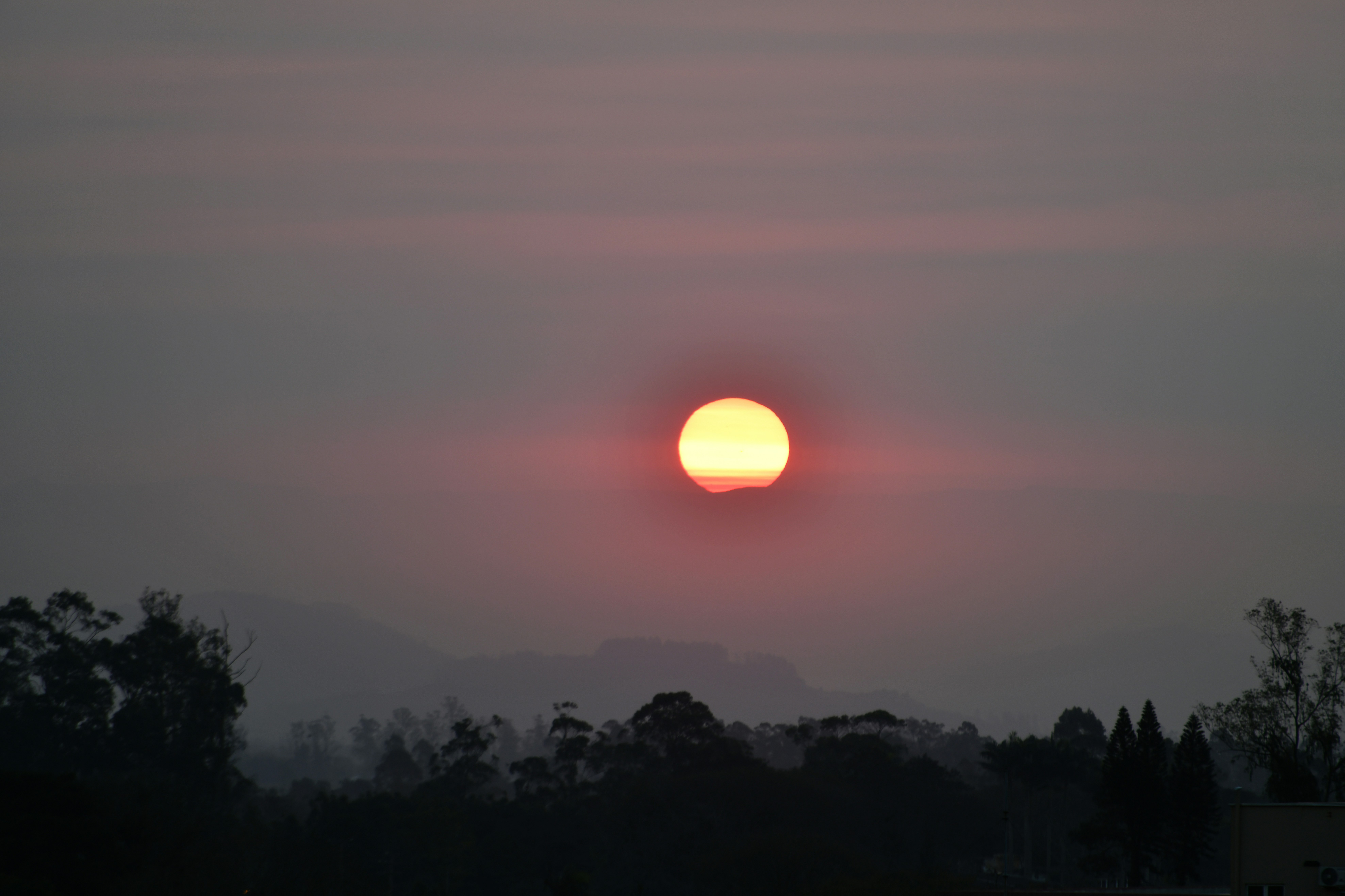 Ember's Embrace: A Day's Quiet Farewell