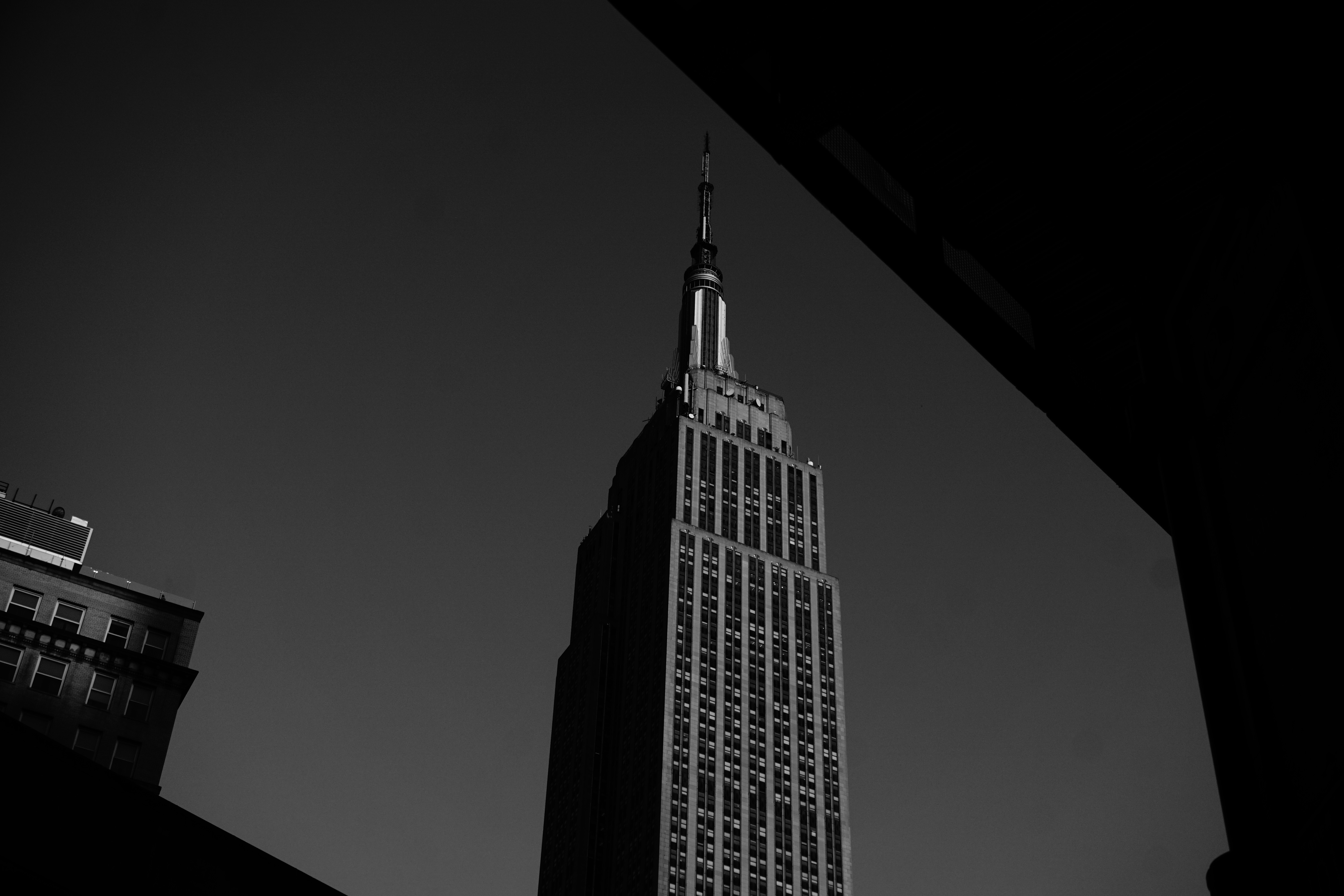 The Towering Sentinel: A Monochrome Perspective