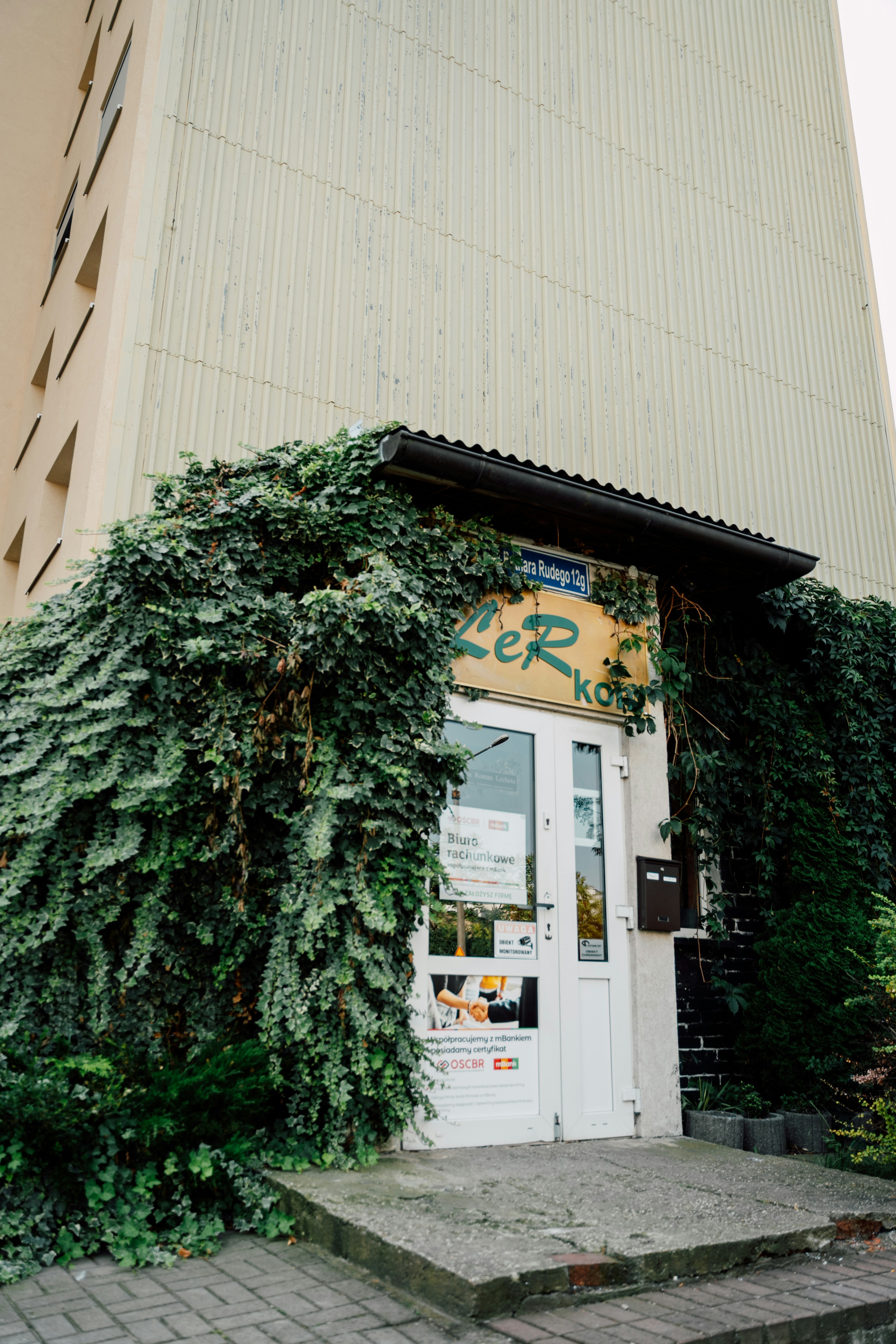 Building entrance covered in lush green ivy plants