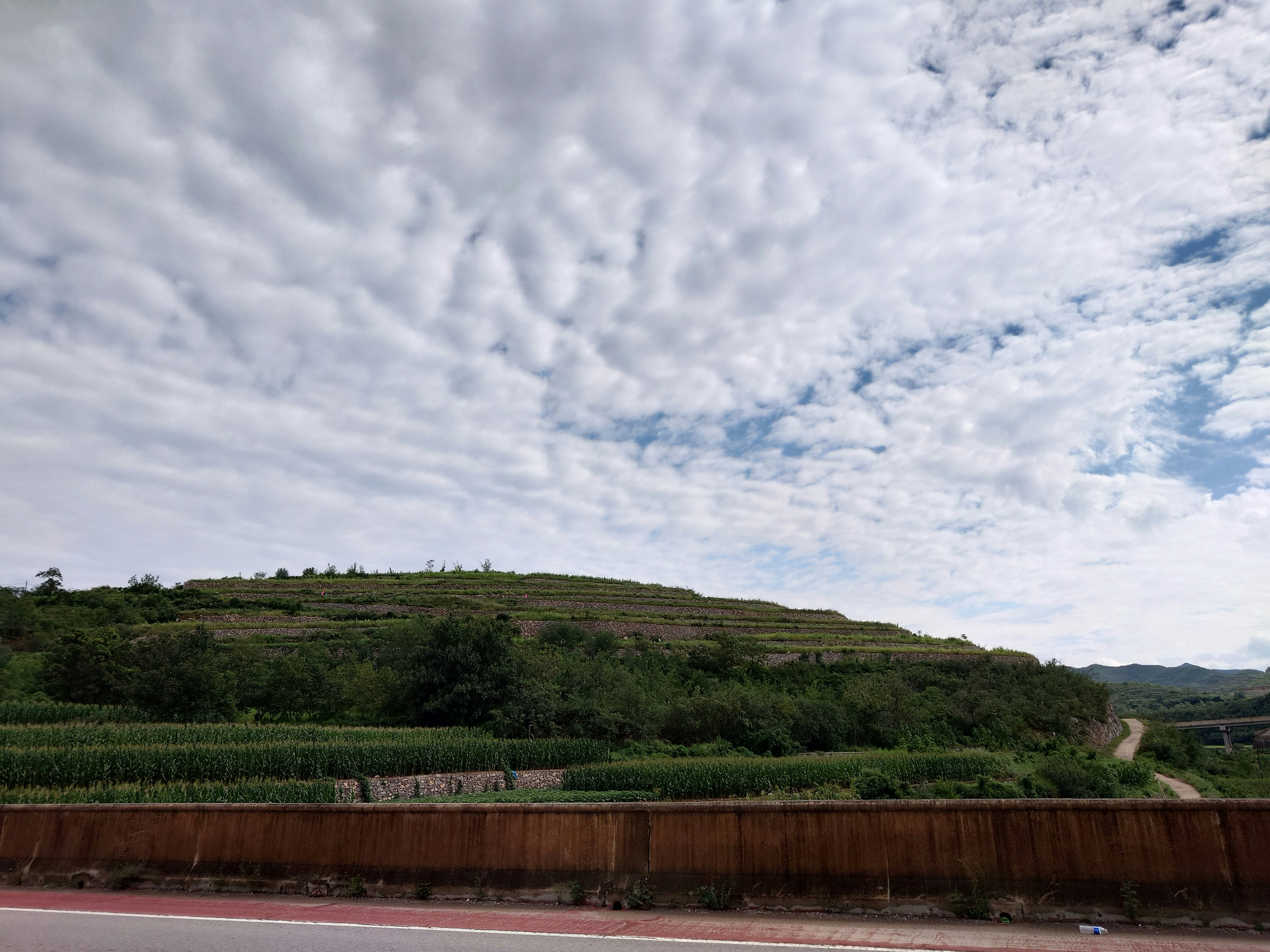 Terraced fields on a hillside under cloudy sky