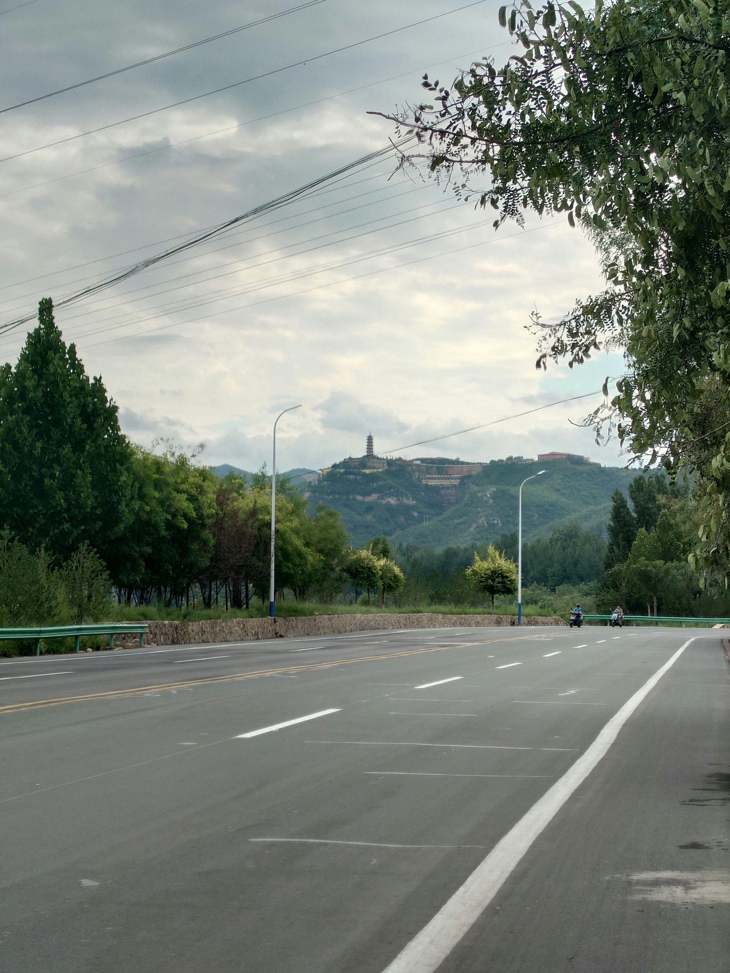 Whispers of the Hillside: A Journey Through Nature's Embrace